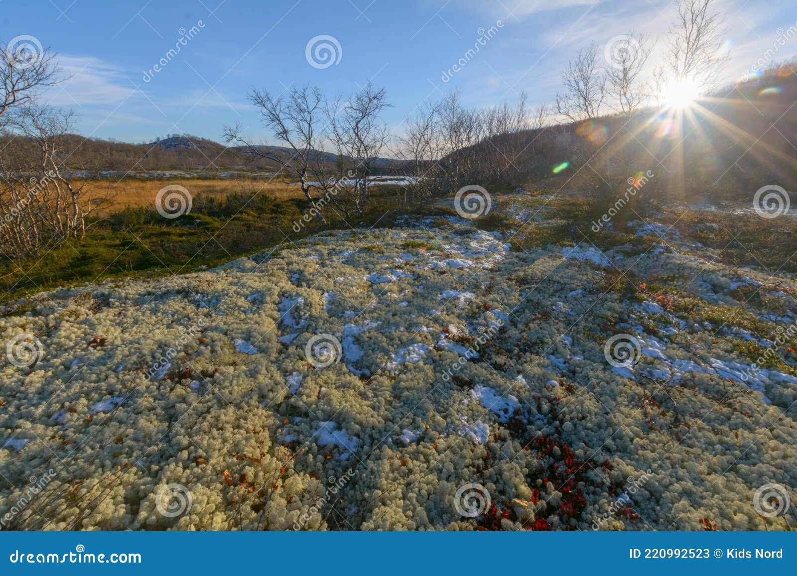 El Sol Y El Sendero En La Tundra Imagen de archivo - Imagen de cubo ...
