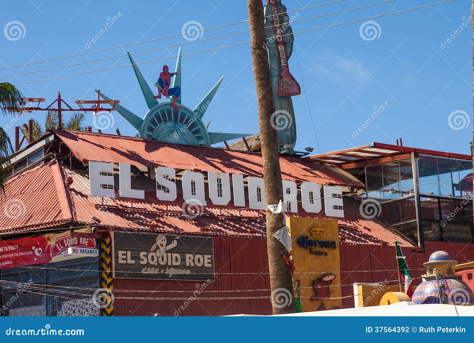 El Squid Roe editorial photography. Image of people, partying - 37564392