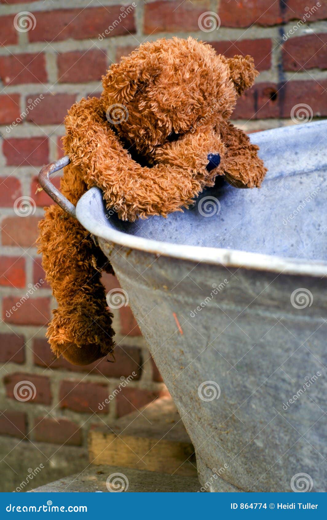 El subir poco teddybear foto de archivo. Imagen de escalada - 864774