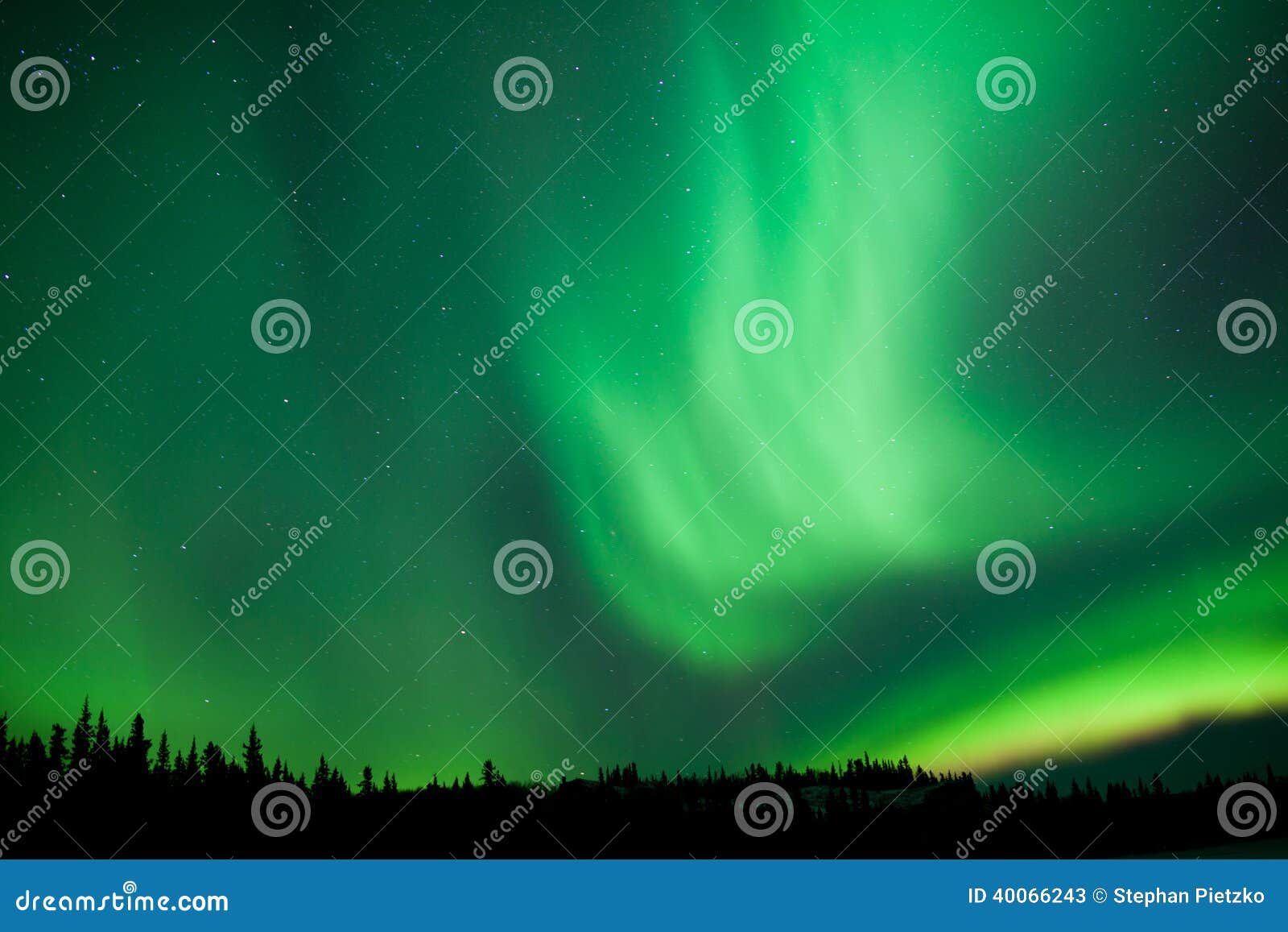 El Substorm Del Aurora Borealis Remolina Sobre Bosque Boreal Imagen de ...