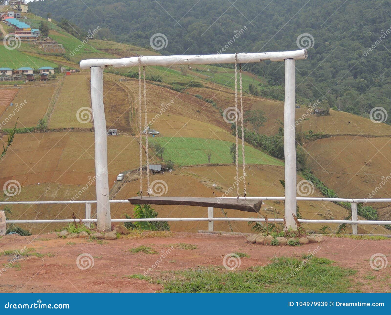 El Swin gigante imagen de archivo. Imagen de encantador - 104979939