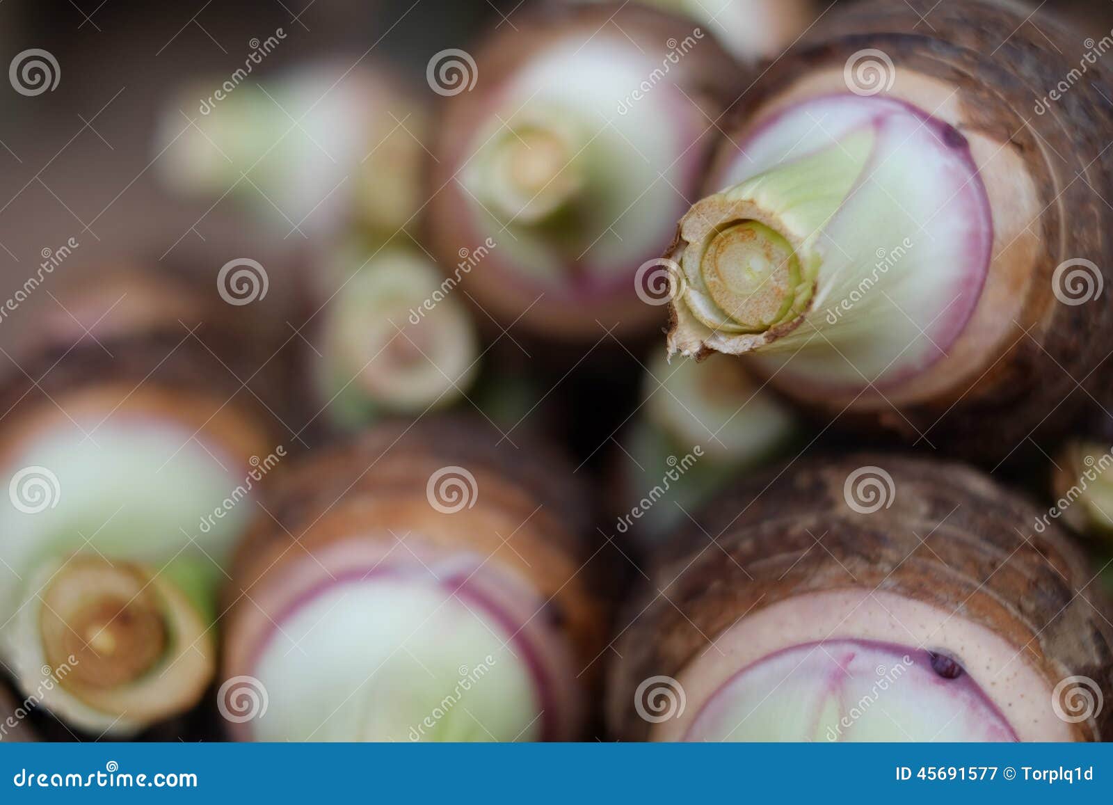 El taro imagen de archivo. Imagen de taro, cubo, fruta - 45691577