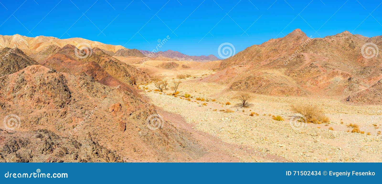 El valle seco foto de archivo. Imagen de cobre, desierto - 71502434