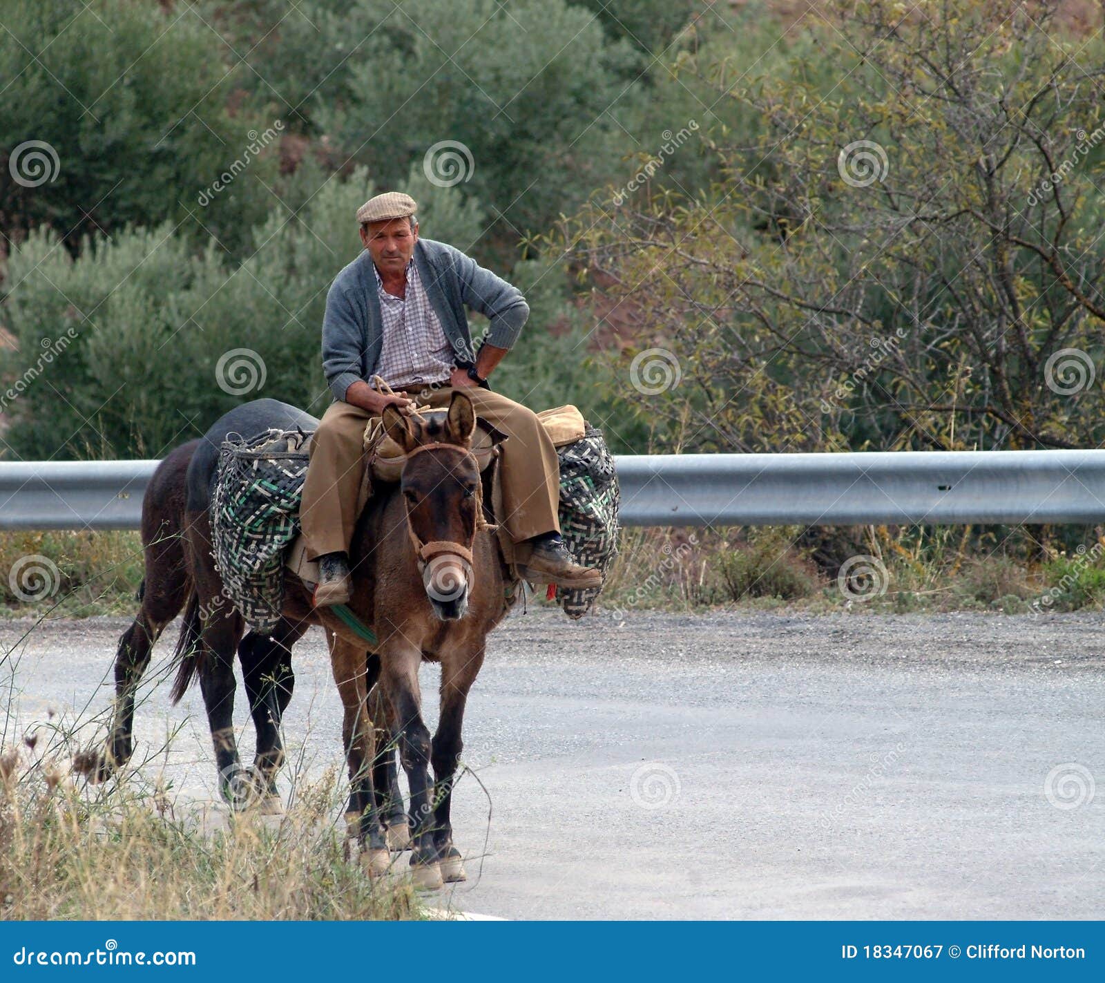 El viajar por el burro fotografía editorial. Imagen de oriente - 18347067
