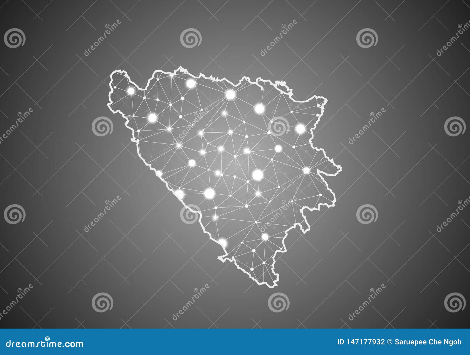 El Wireframe Del Vector Enreda Poligonal Del Mapa De Bosnia Y