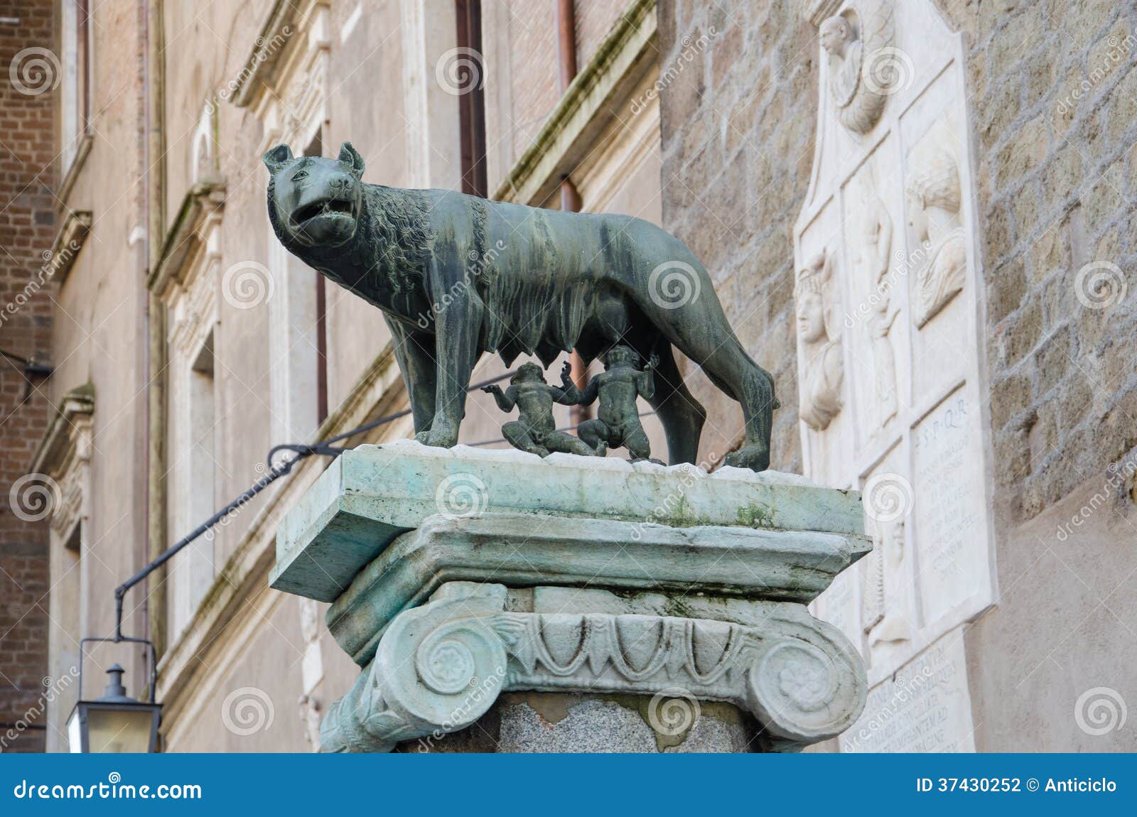 Ela-lobo Com Romulus E Remus Foto de Stock - Imagem de europeu, lobo ...