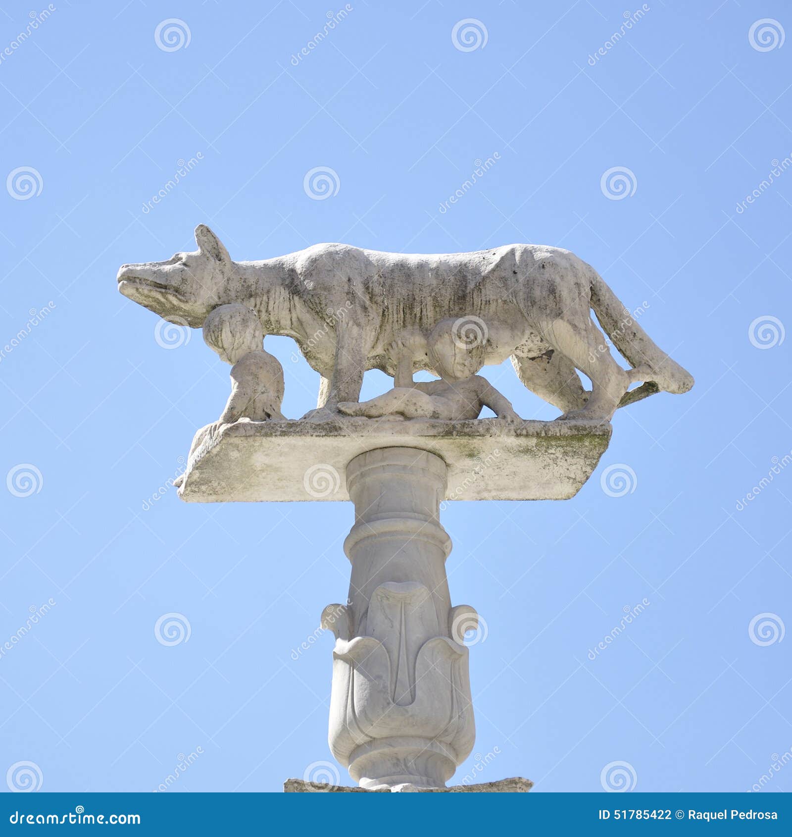 Ela-lobo Que Mama Os Gêmeos Romulus E Remus Foto de Stock - Imagem de ...