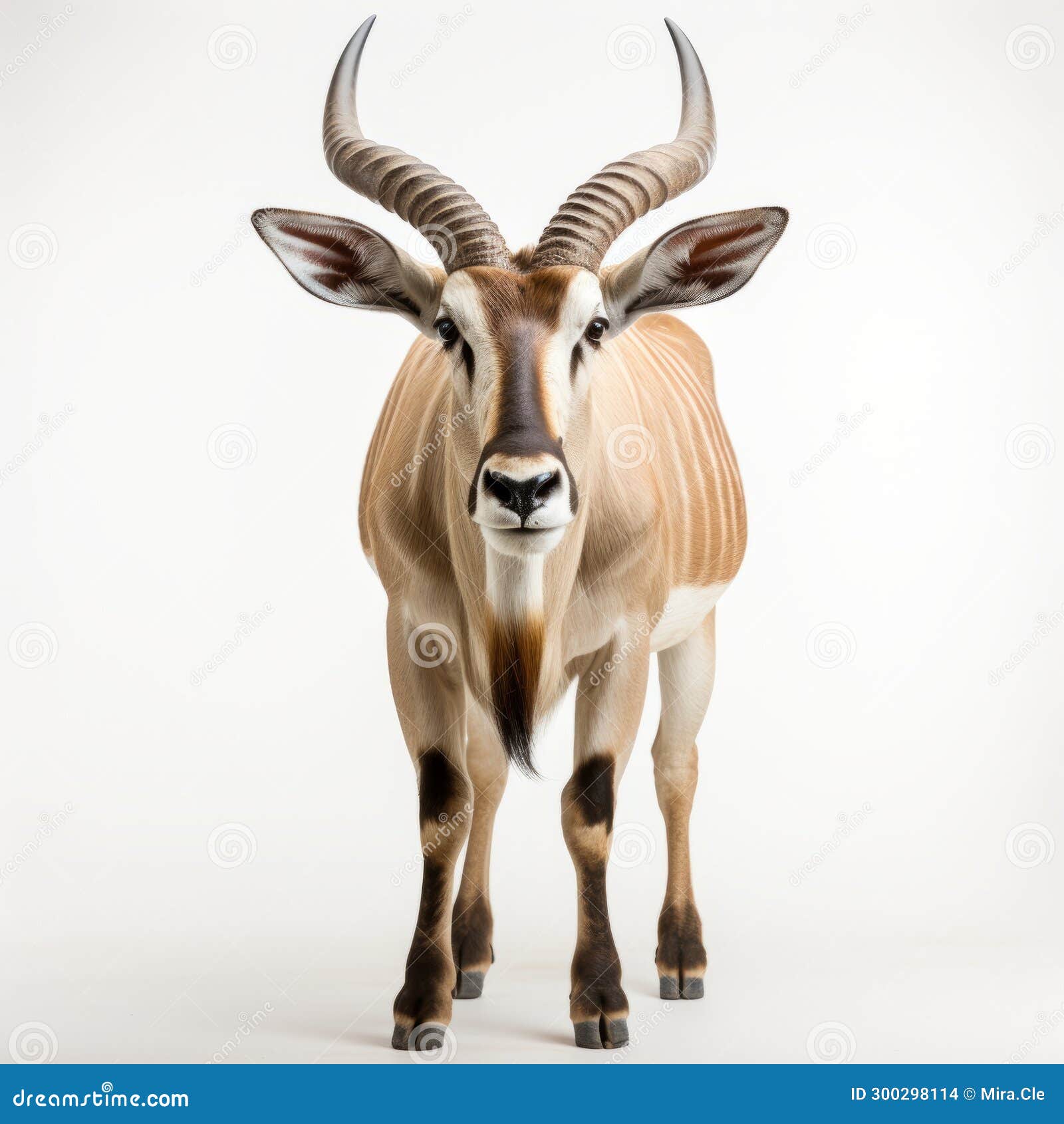 Eland On White Background Created With Generative AI Technology Royalty ...