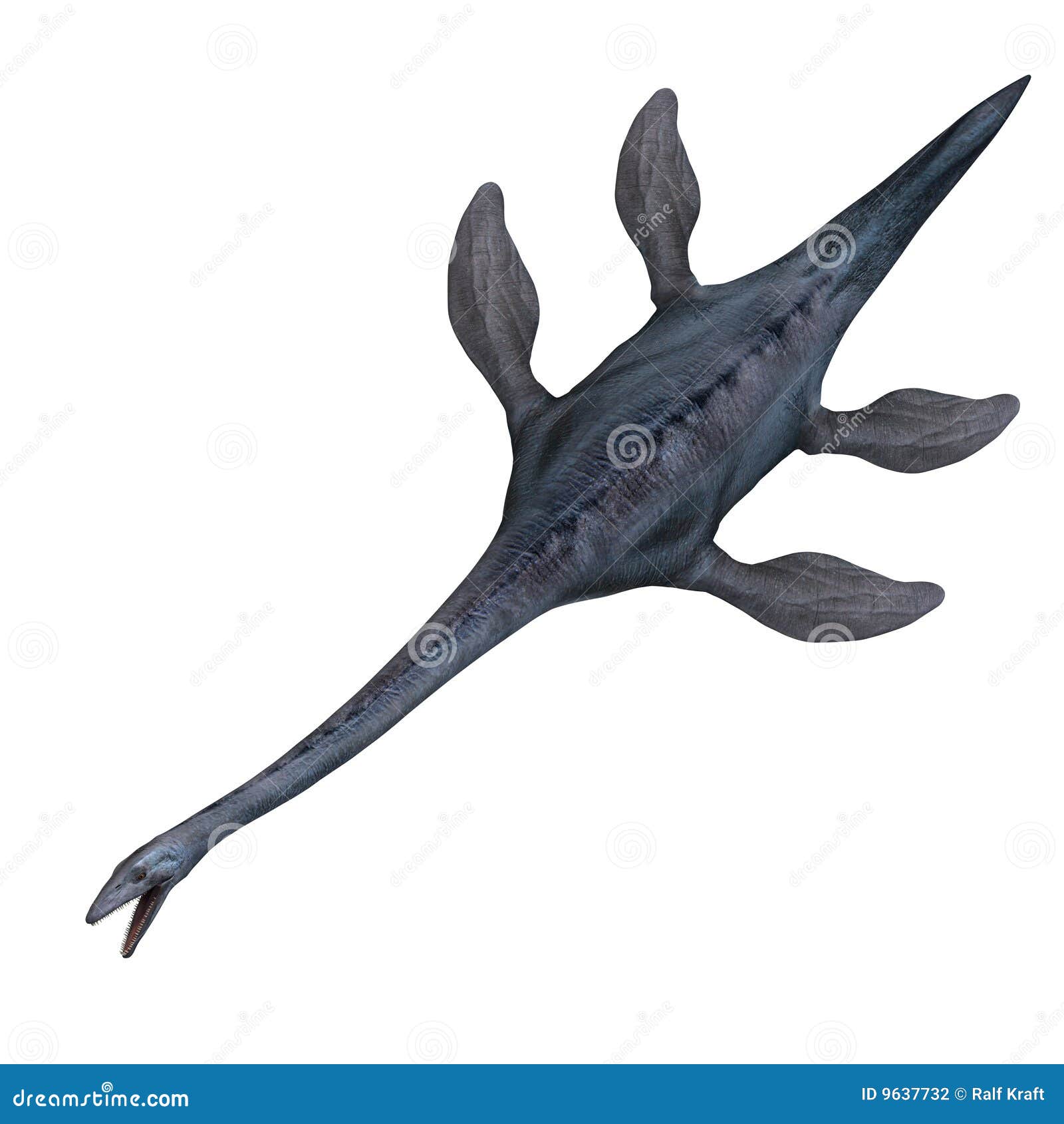 Elasmosaurus stock illustration. Illustration of gigantic - 9637732