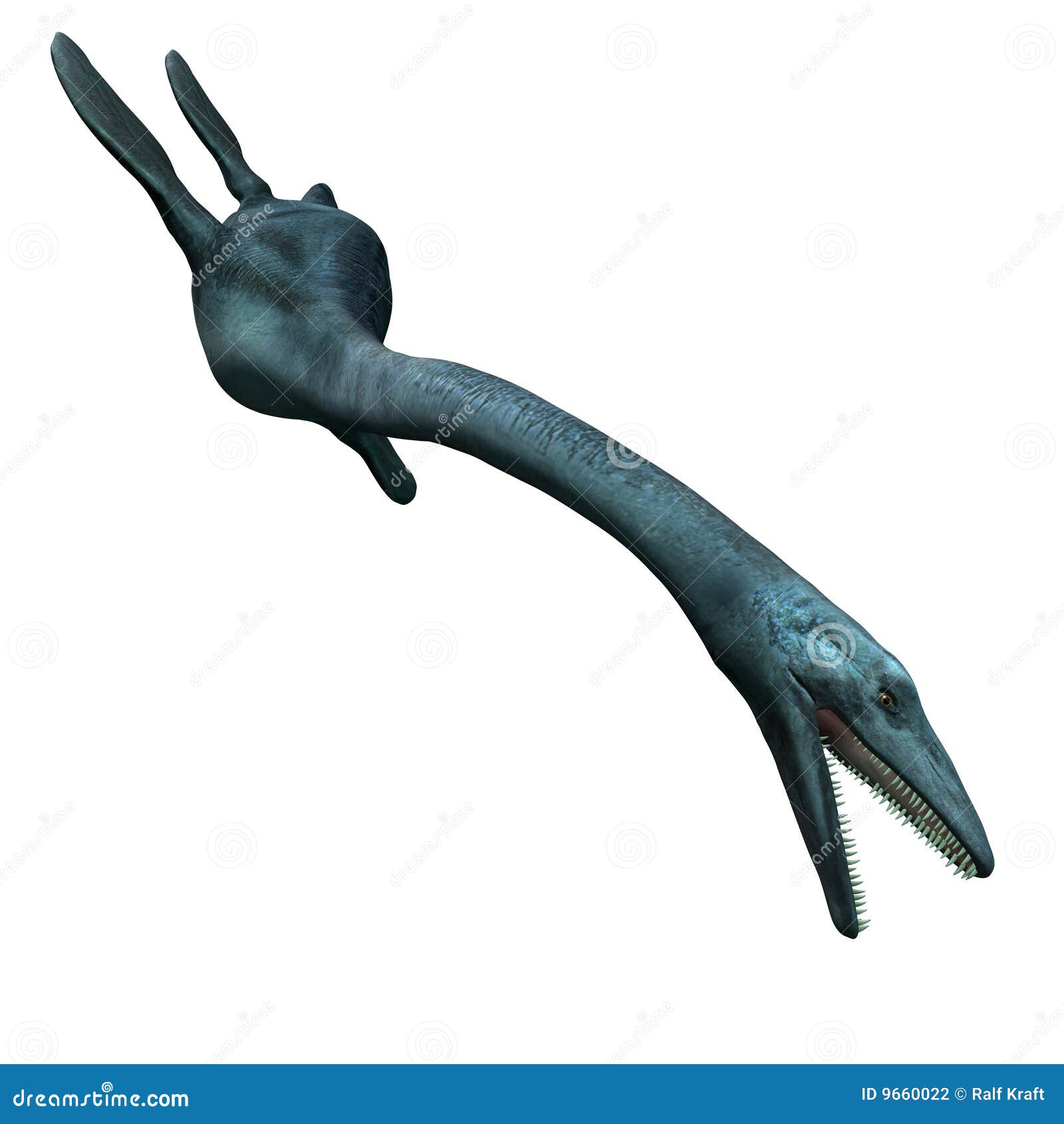 Elasmosaurus stock illustratie. Illustration of vissen - 9660022