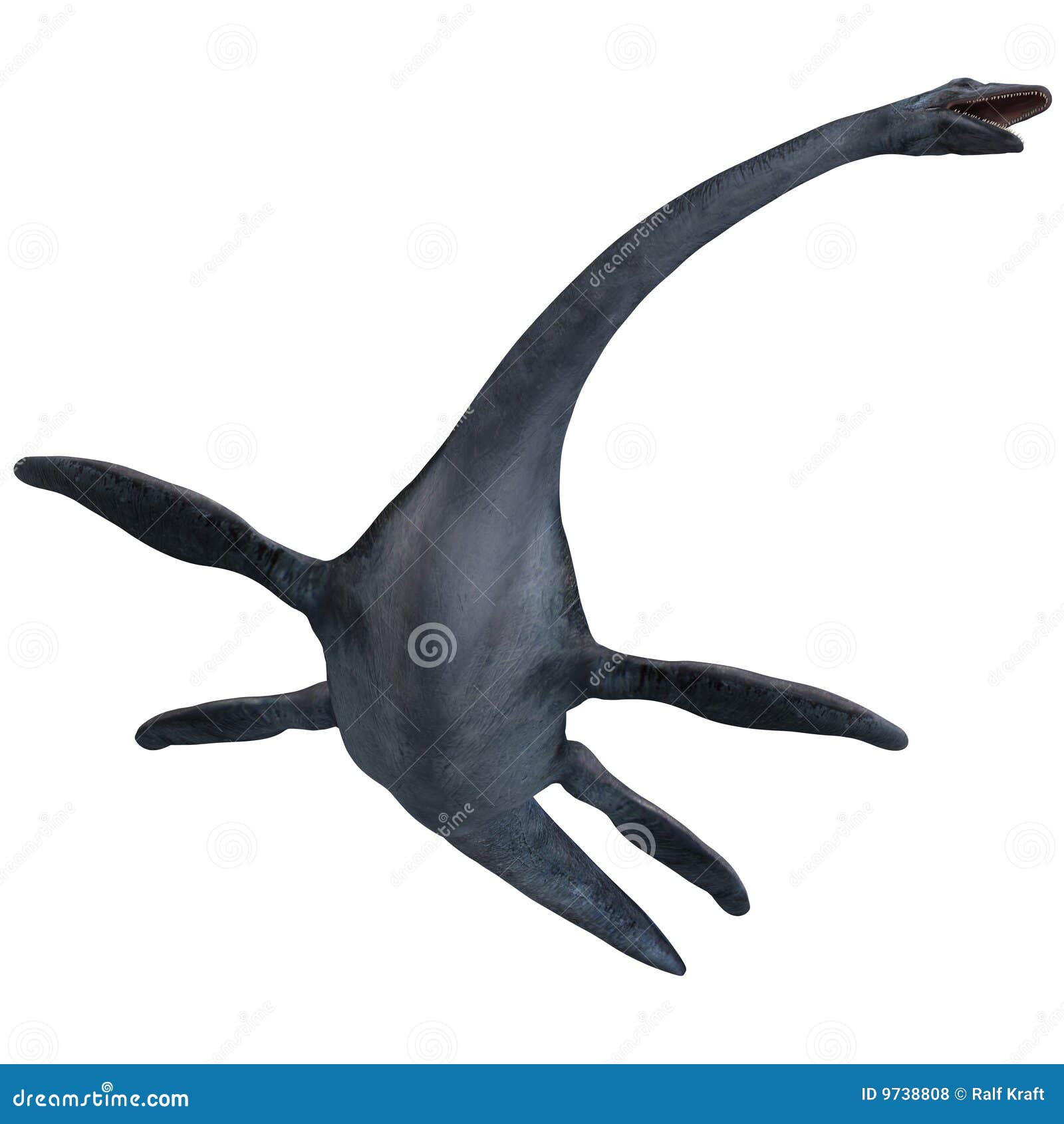 Elasmosaurus On White Stock Photo | CartoonDealer.com #89413980