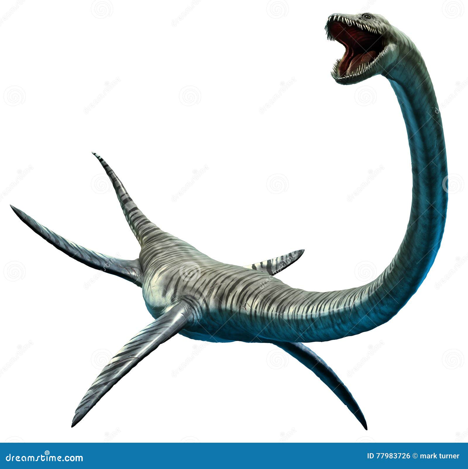 Elasmosaurus Stock Illustrations – 145 Elasmosaurus Stock Illustrations ...