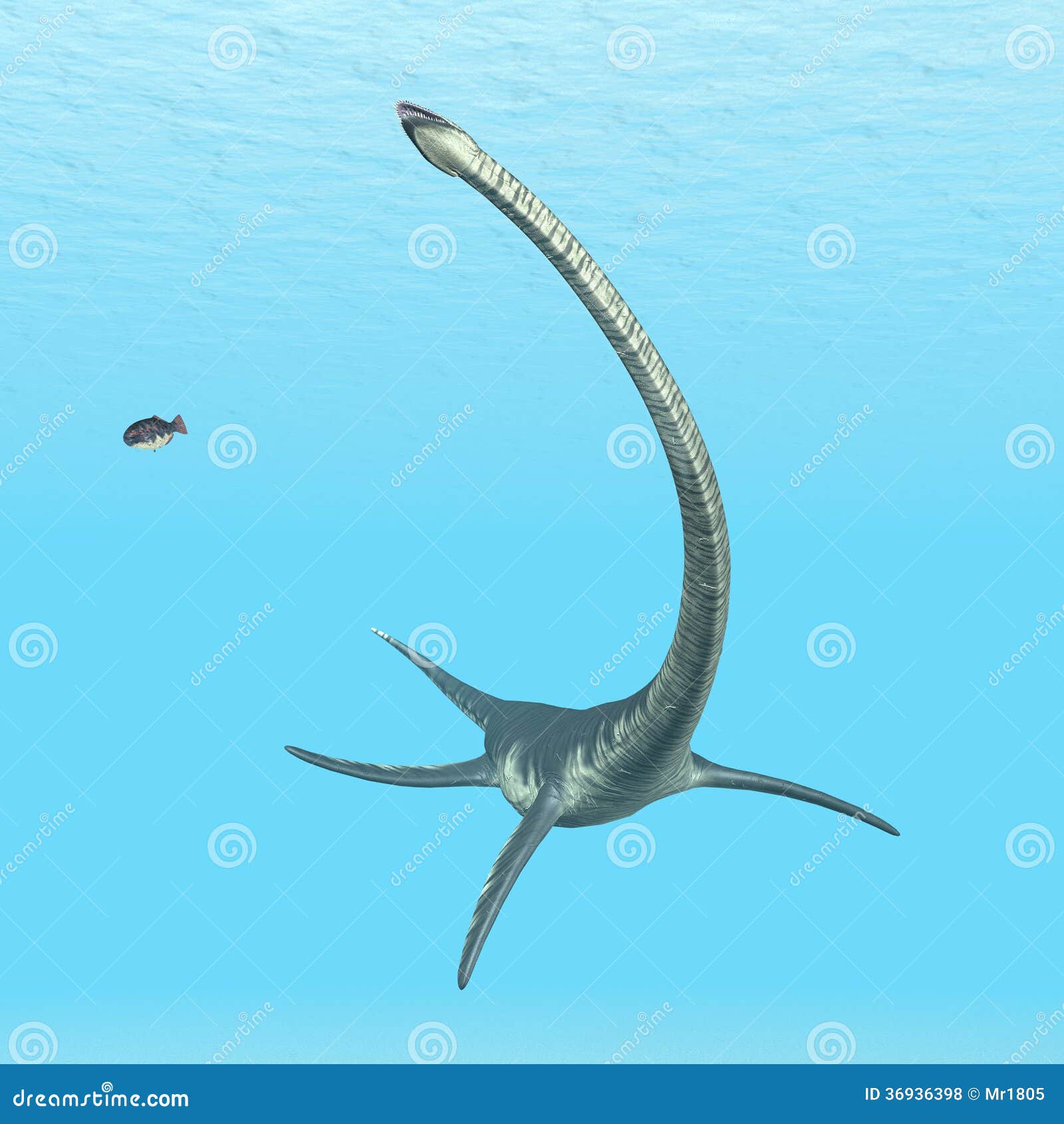 Elasmosaurus di Plesiosaur illustrazione di stock. Illustrazione di ...