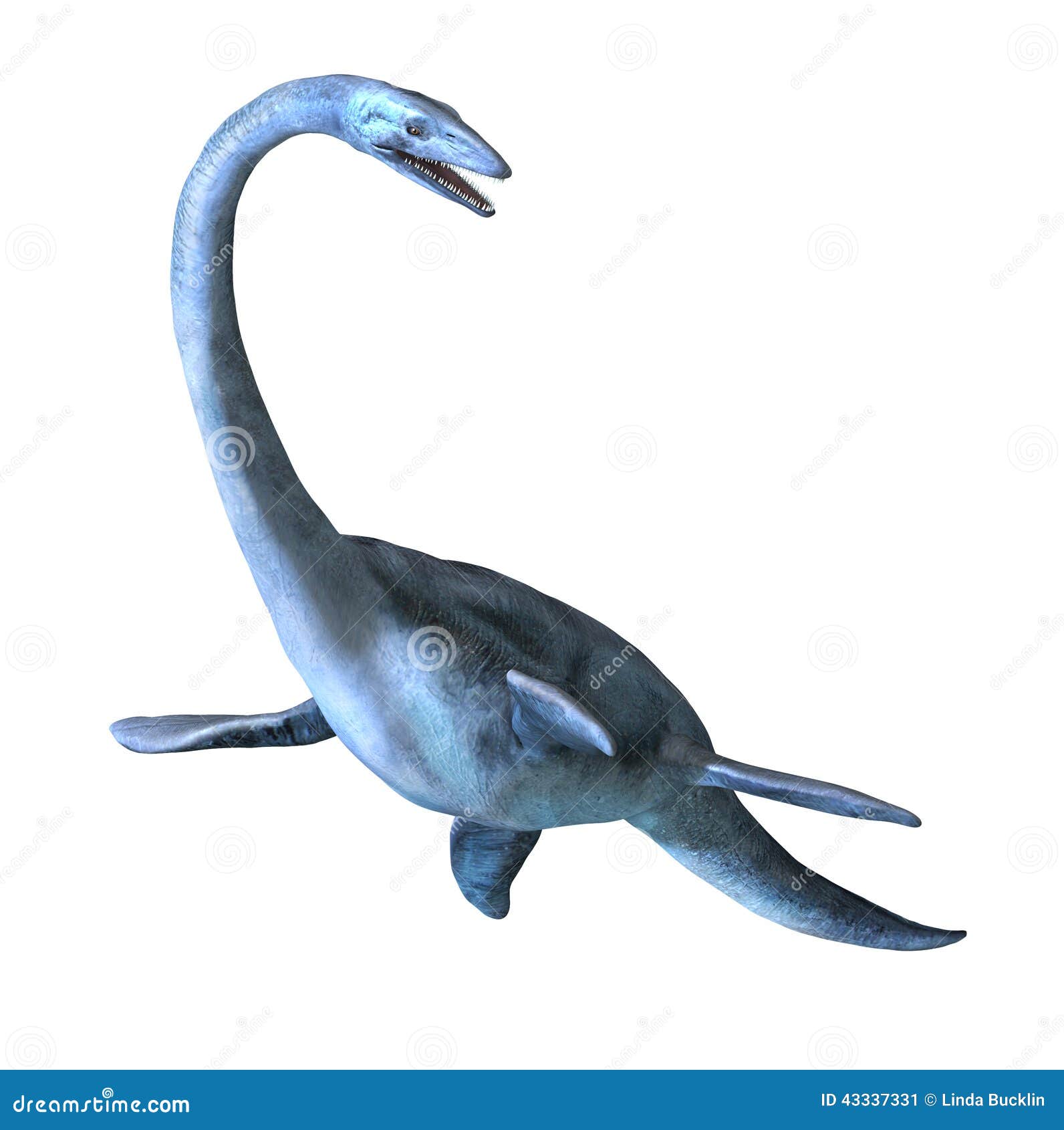Elasmosaurus stock illustration. Illustration of underwater - 43337331