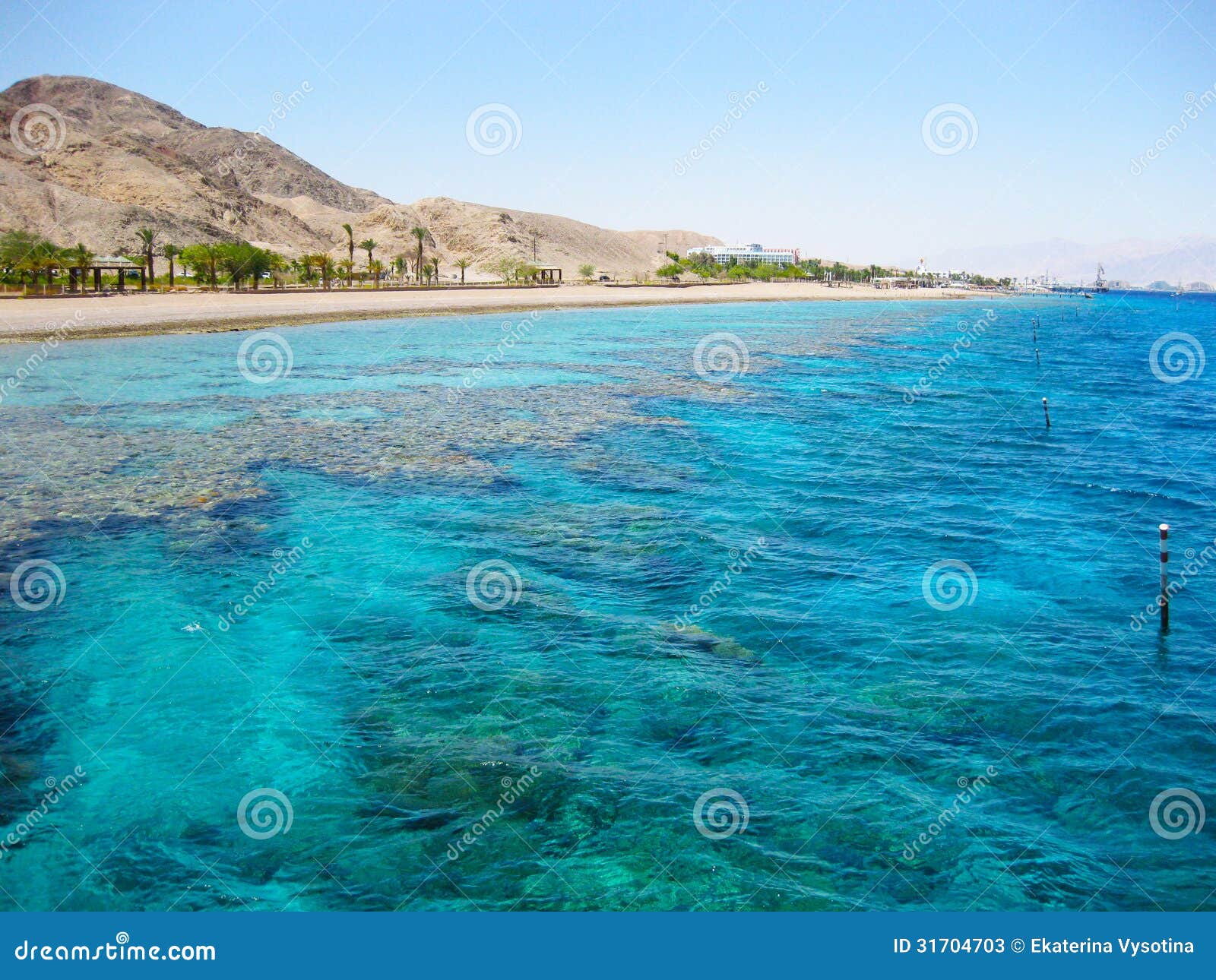 Elat, Rotes Meer, Israel stockbild. Bild von palme, panoramisch - 31704703