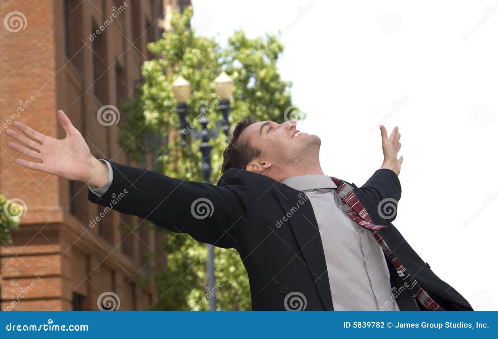 Elated Businessman stock photo. Image of professional - 5839782