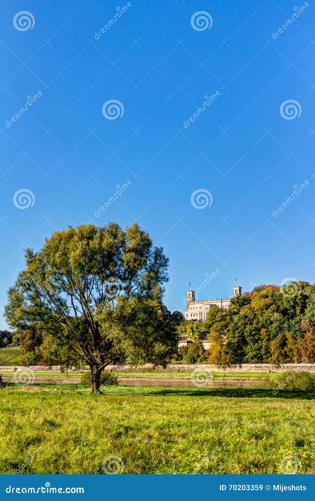 Elbe River and Valley in Dresden Stock Image - Image of architecture ...