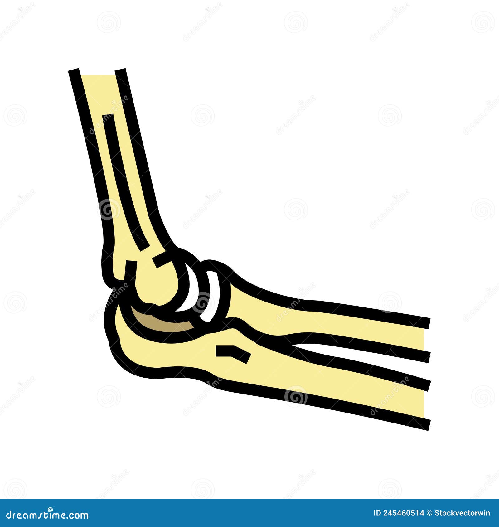 Elbow Bone Color Icon Vector Illustration Stock Vector - Illustration ...