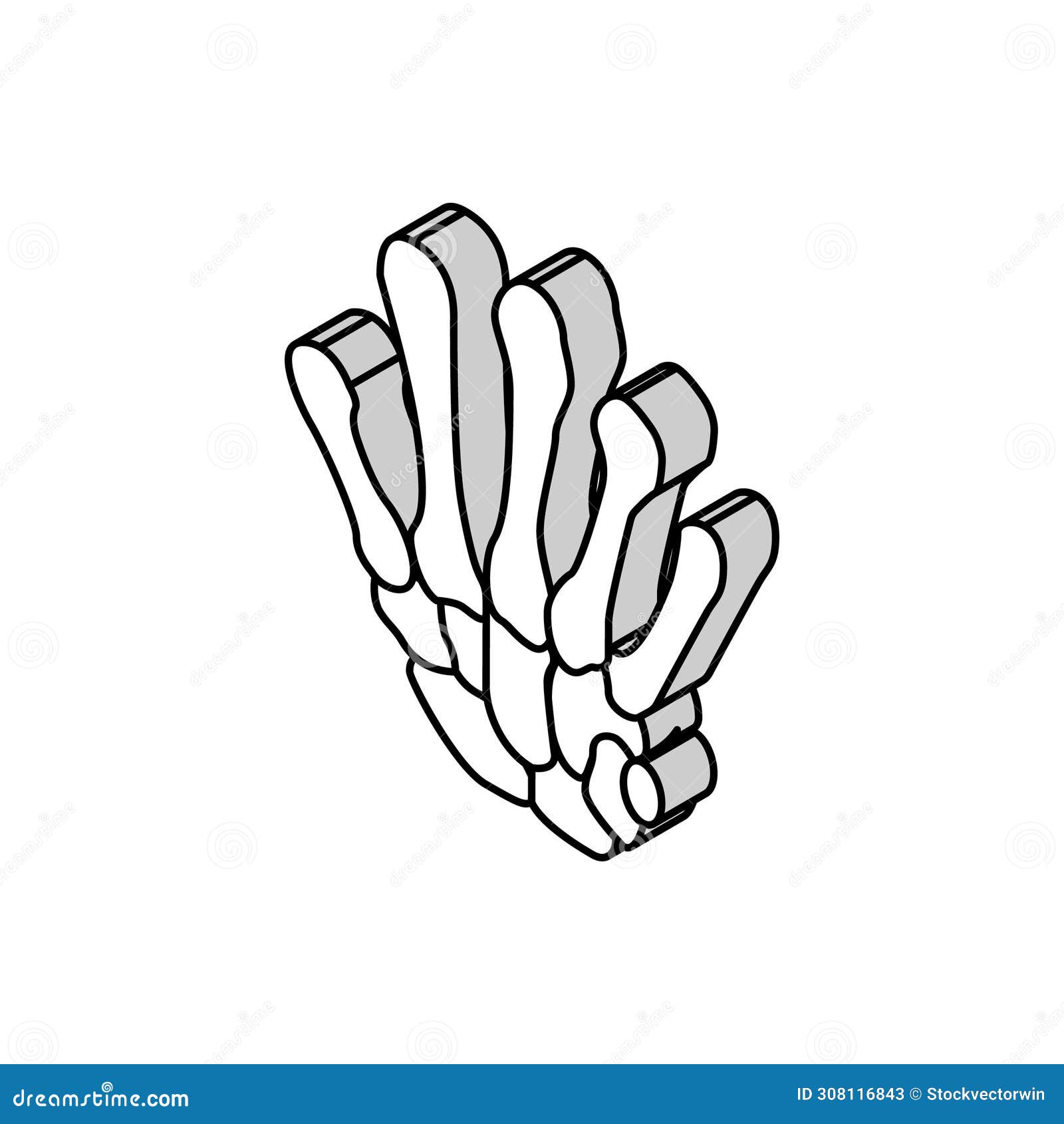 Elbow Bone Isometric Icon Vector Illustration Stock Illustration ...