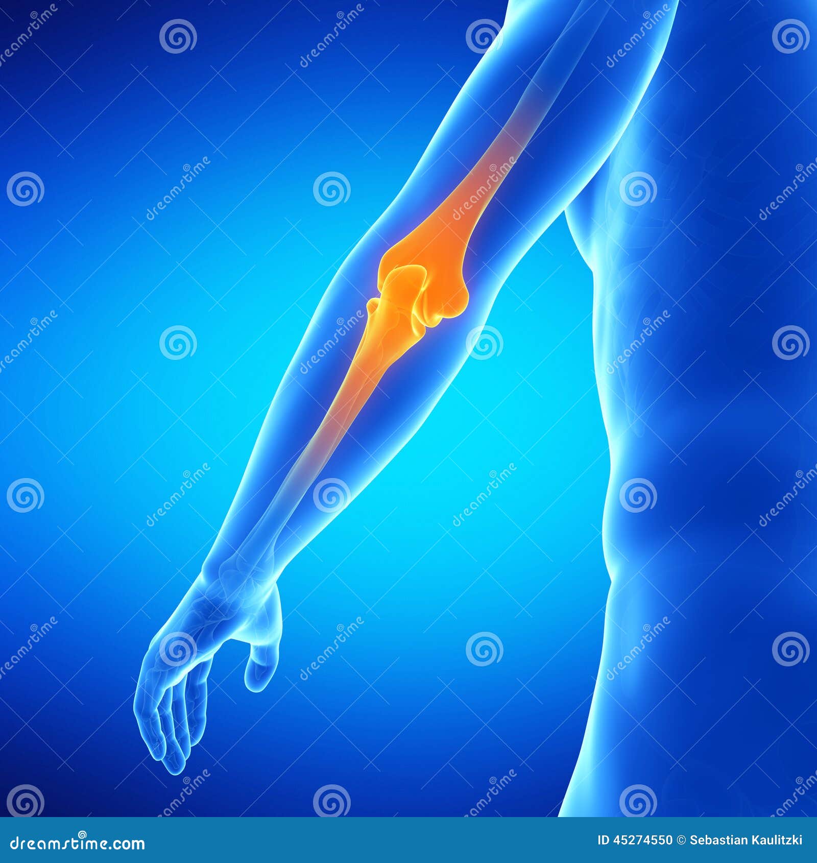 The elbow joint stock illustration. Illustration of skeleton - 45274550