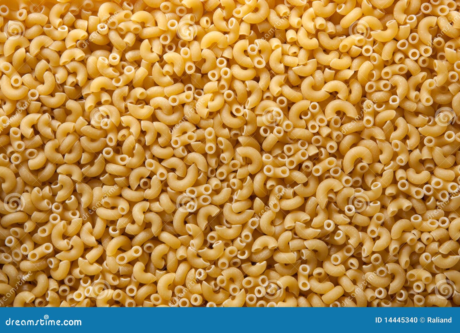 Elbow macaroni stock photo. Image of fibre, flour, dough - 14445340