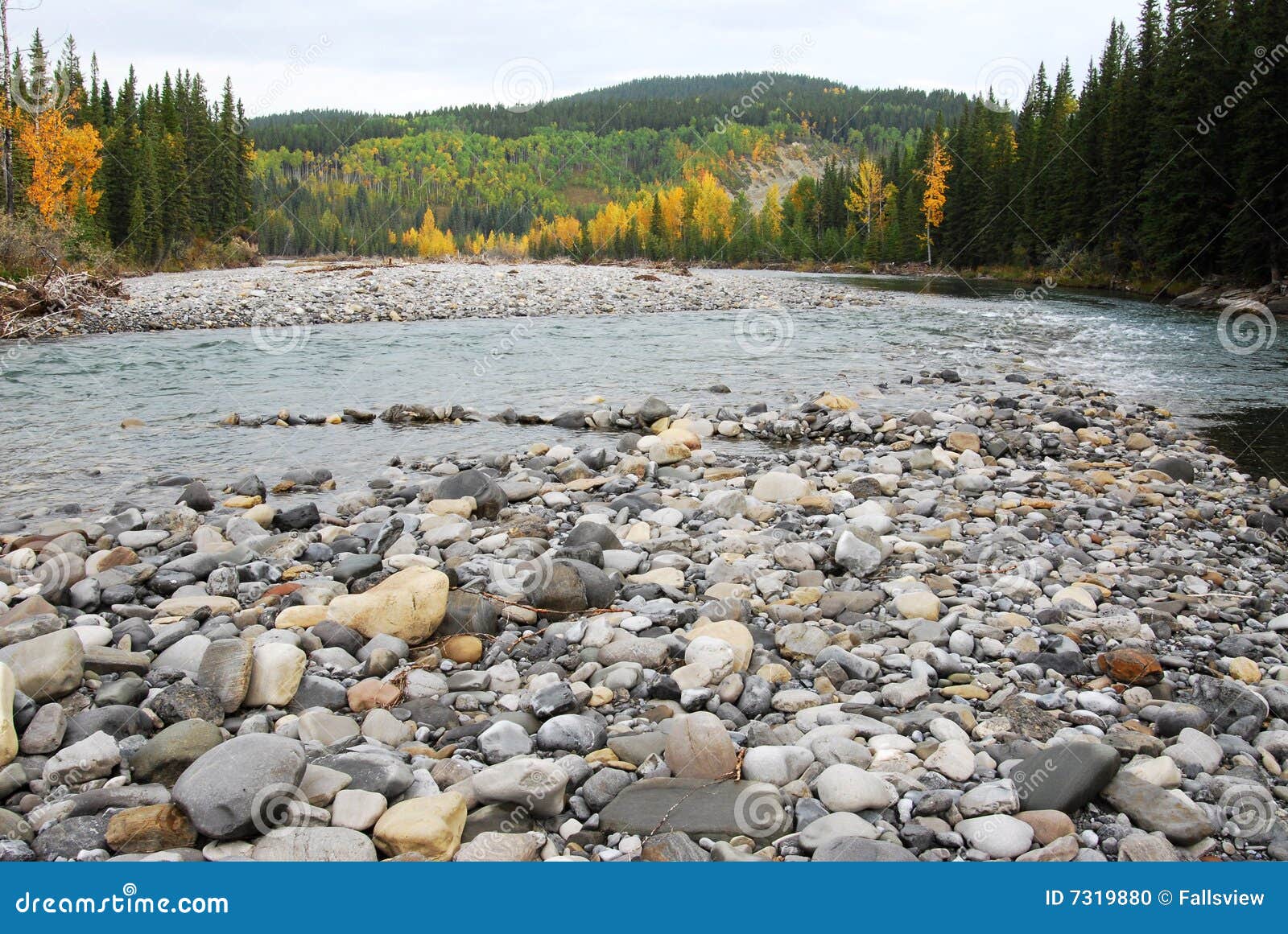 Elbow River Valley in Autumn Stock Photo - Image of autumn, landscapes ...