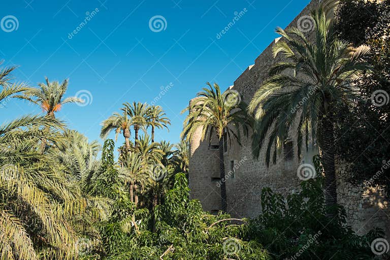 Elche stock image. Image of park, europe, facade, palmeral - 66636521
