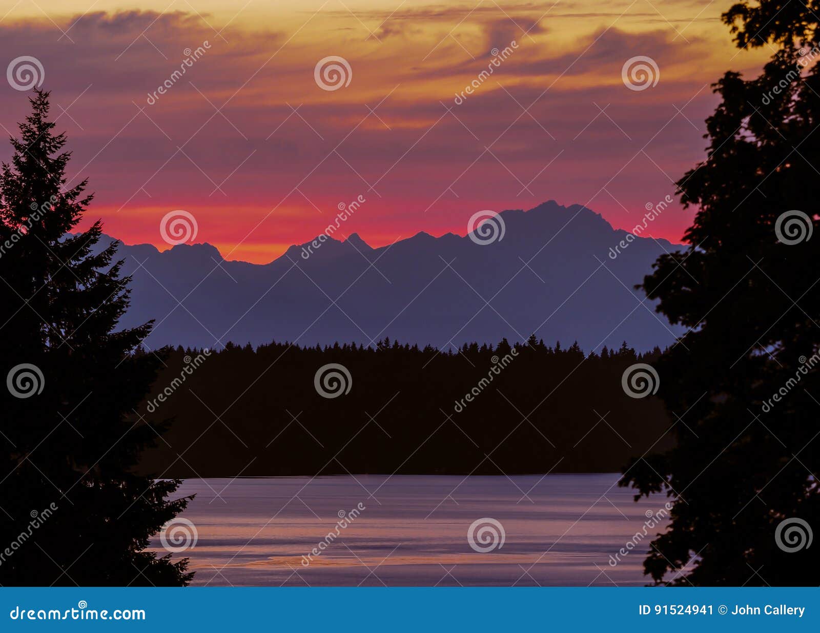 Eld Inlet Sunset stock image. Image of puget, sunset - 91524941