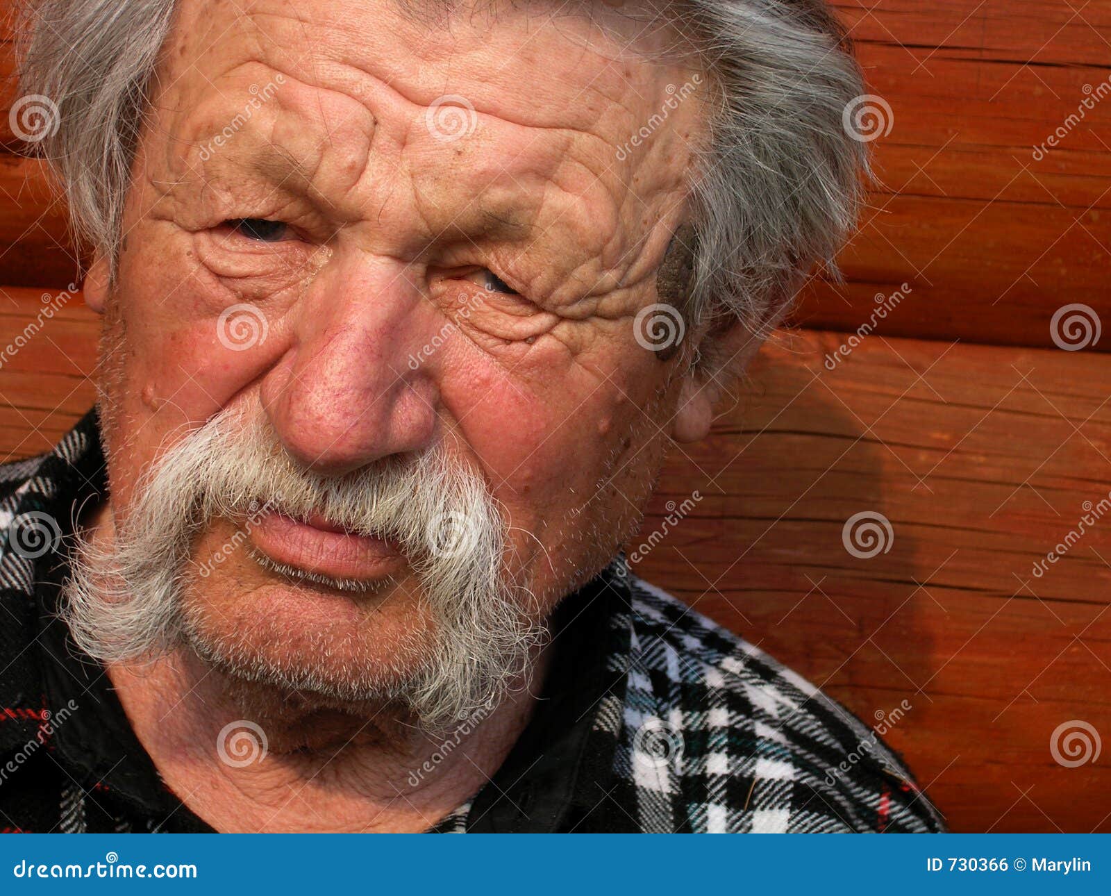 Elder man stock photo. Image of face, consideration, adult - 730366