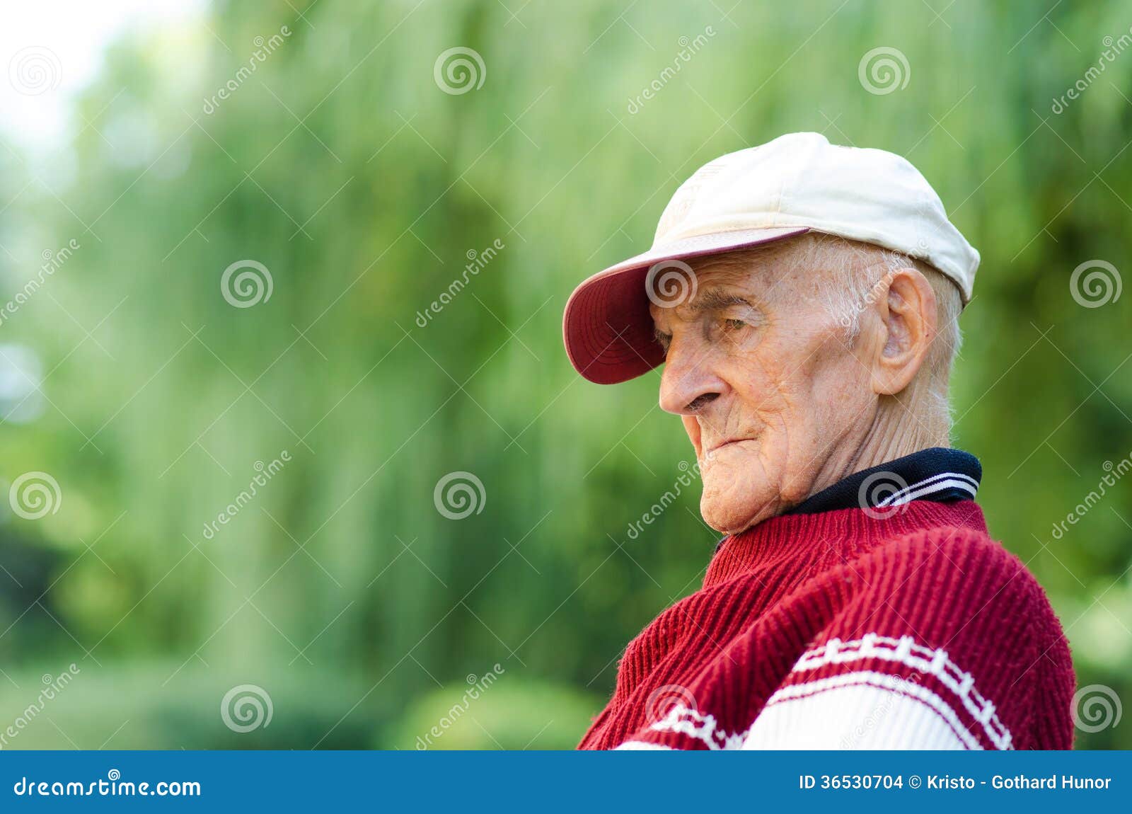 Elder senior man stock photo. Image of aging, outdoors - 36530704