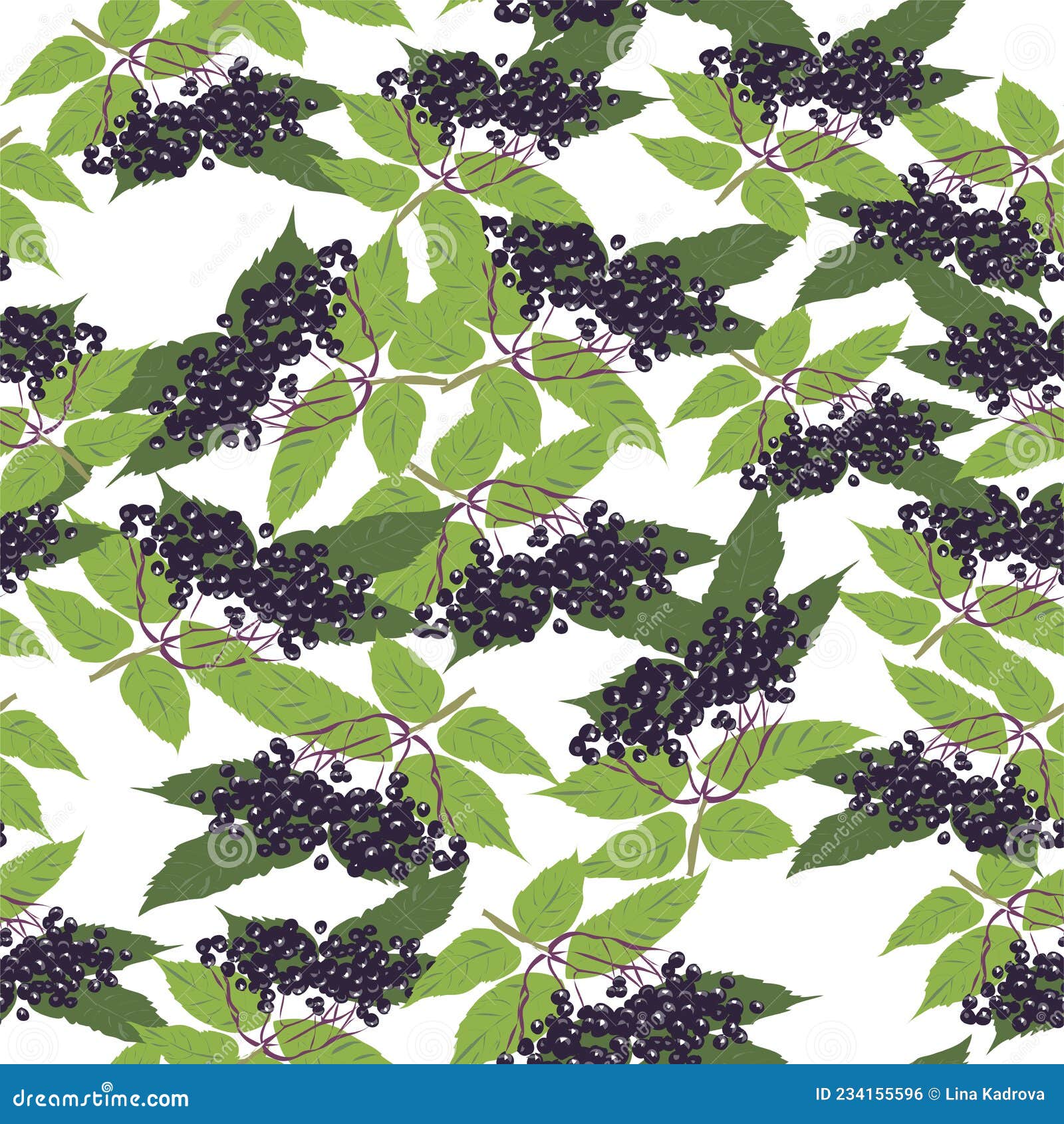 Elderberry Vector Seamless Pattern on White Color Background Stock Vector - Illustration of ...