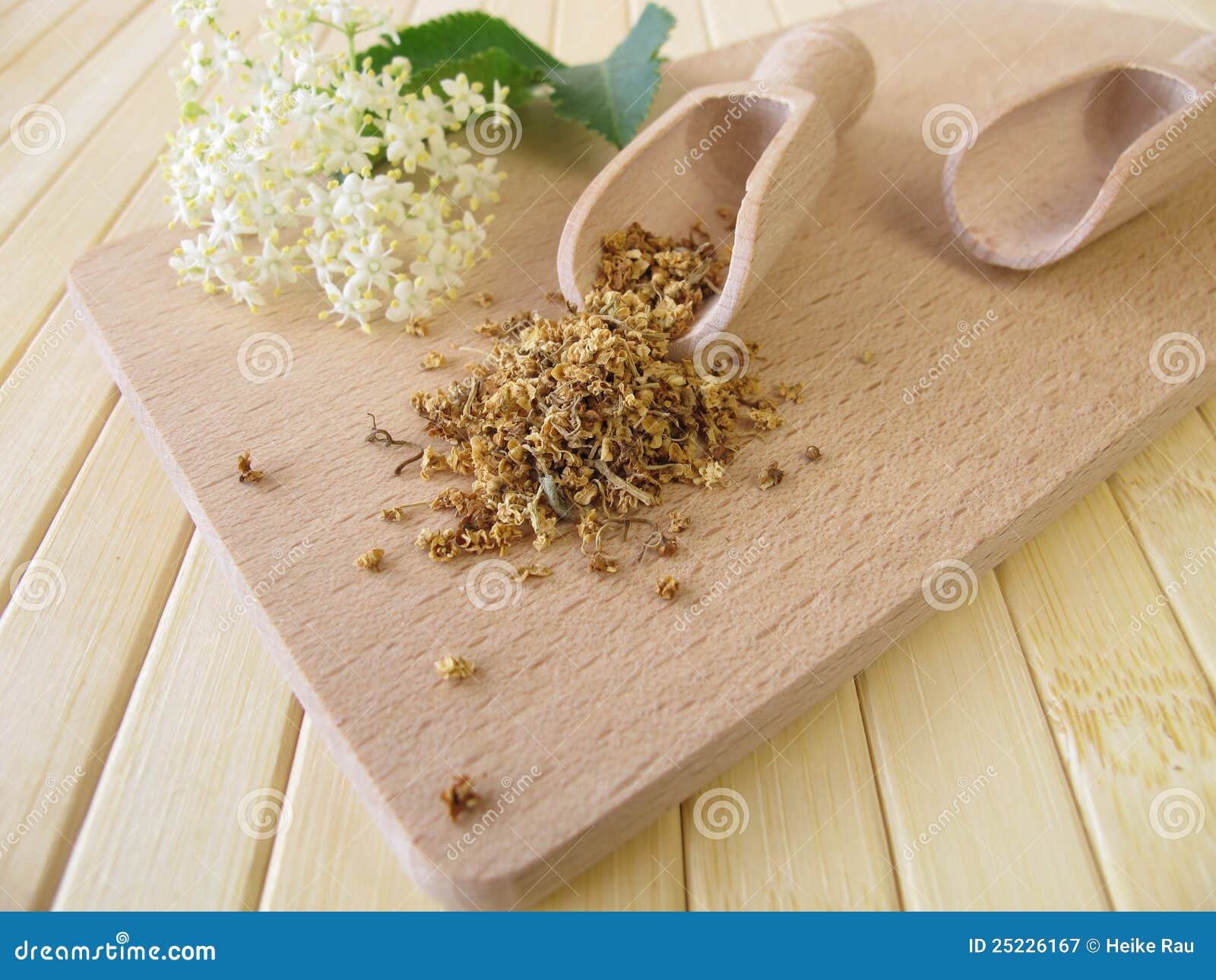 Elderflower, Sambuci flos stock image. Image of plant - 25226167