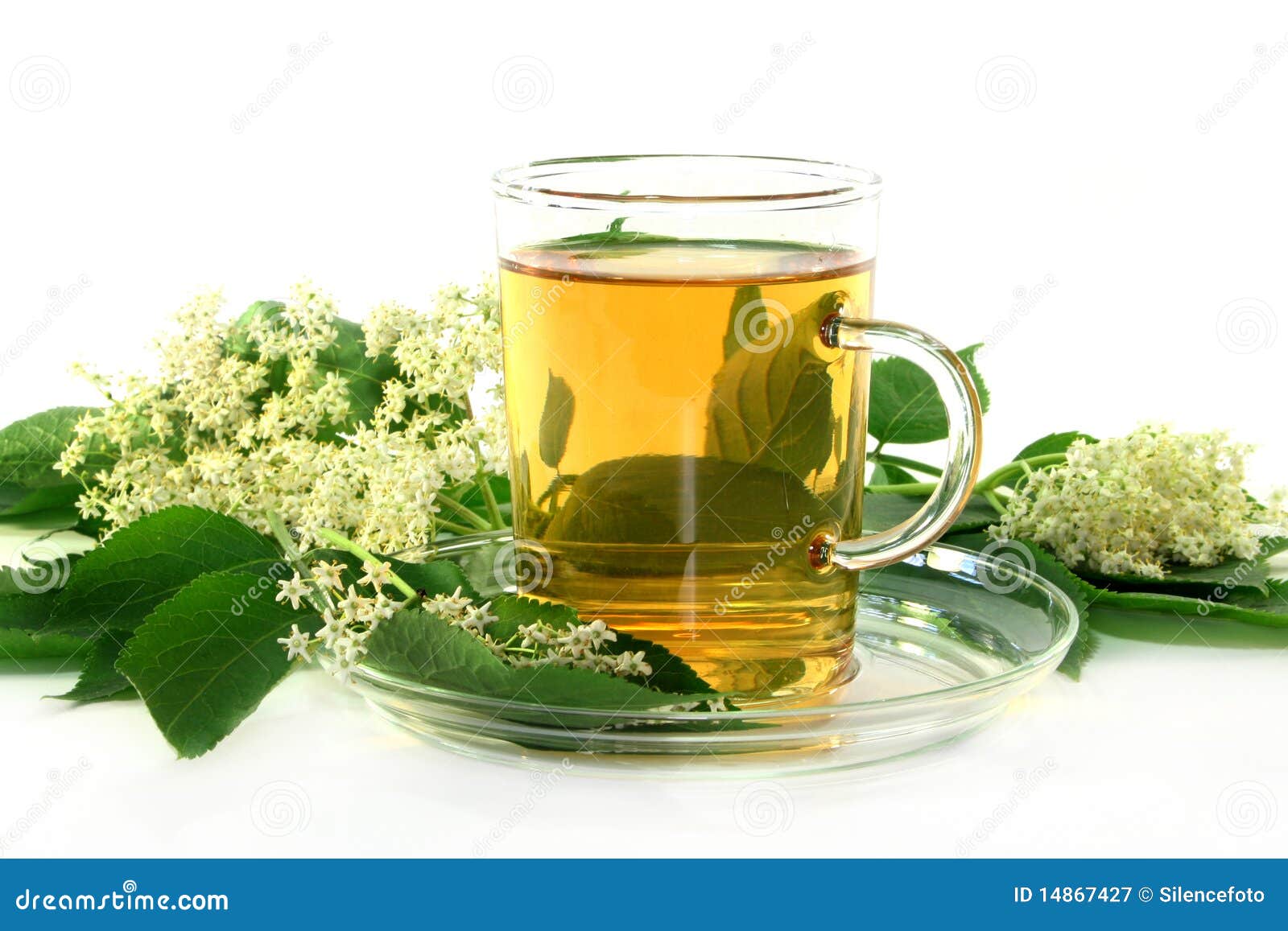 Elderflower tea stock image. Image of elderberry, mixture - 14867427