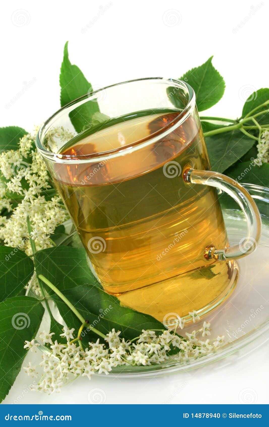 Elderflower tea stock photo. Image of umbels, diuretic - 14878940