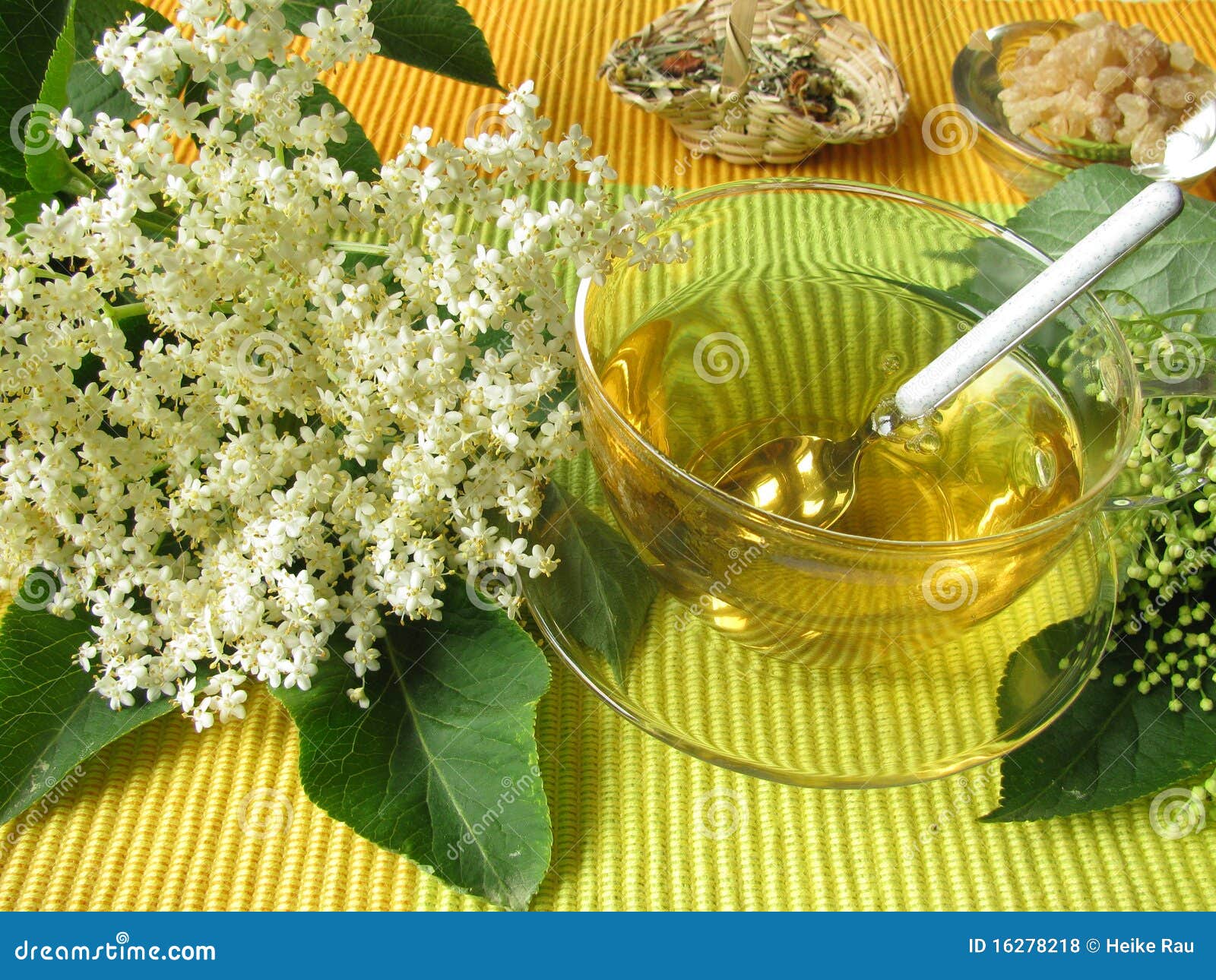 Elderflower tea stock photo. Image of elderflower, herbs - 16278218