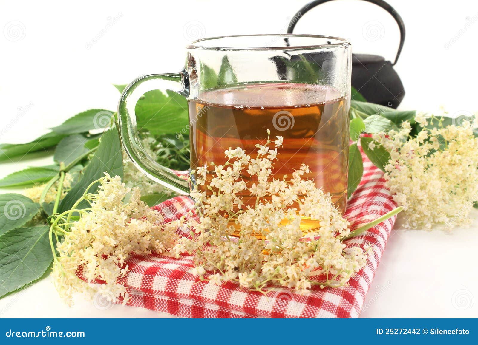 Elderflower tea stock photo. Image of cold, herbal, herbs - 25272442