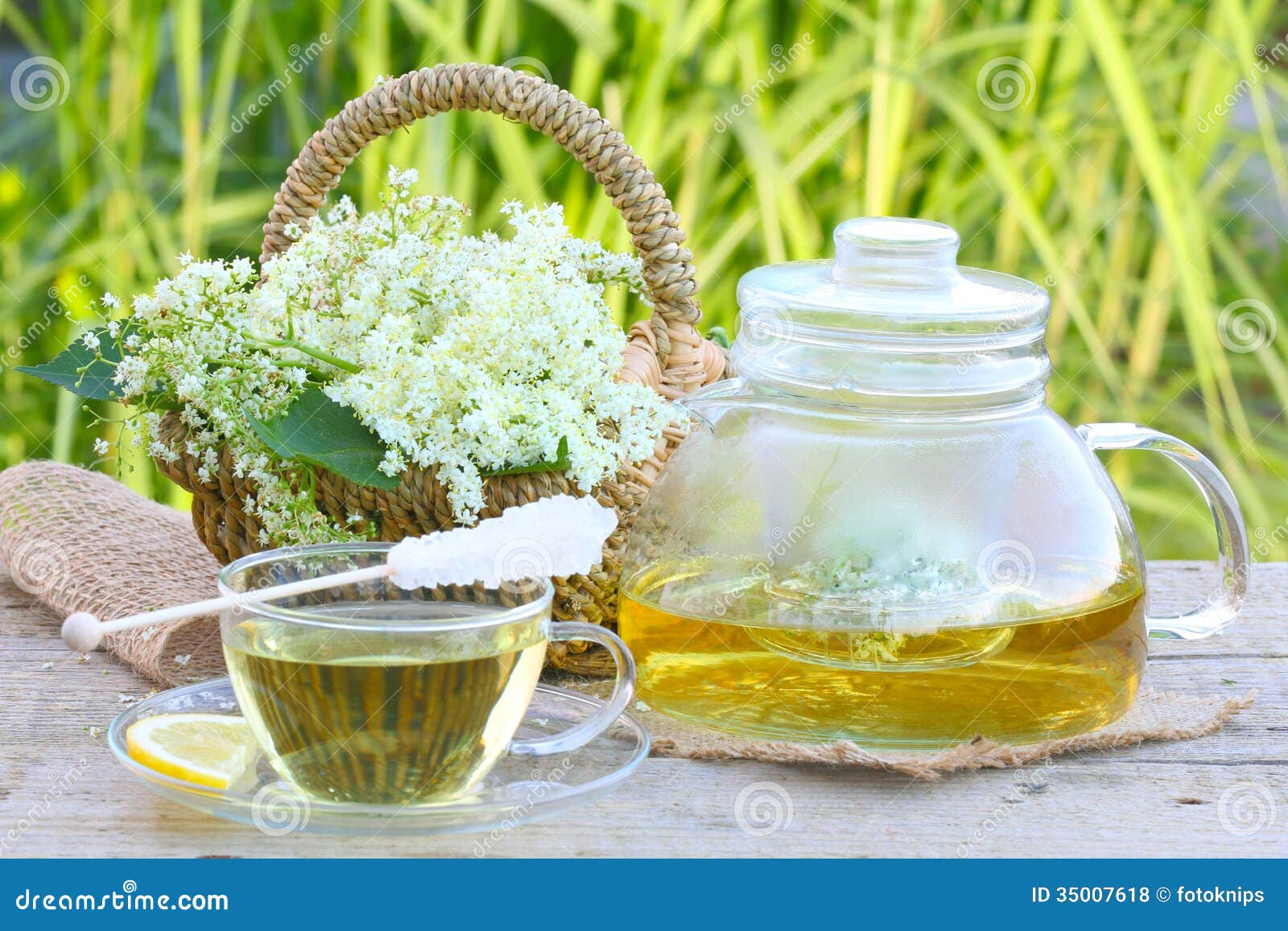 Elderflower tea, elder stock photo. Image of green, glass - 35007618