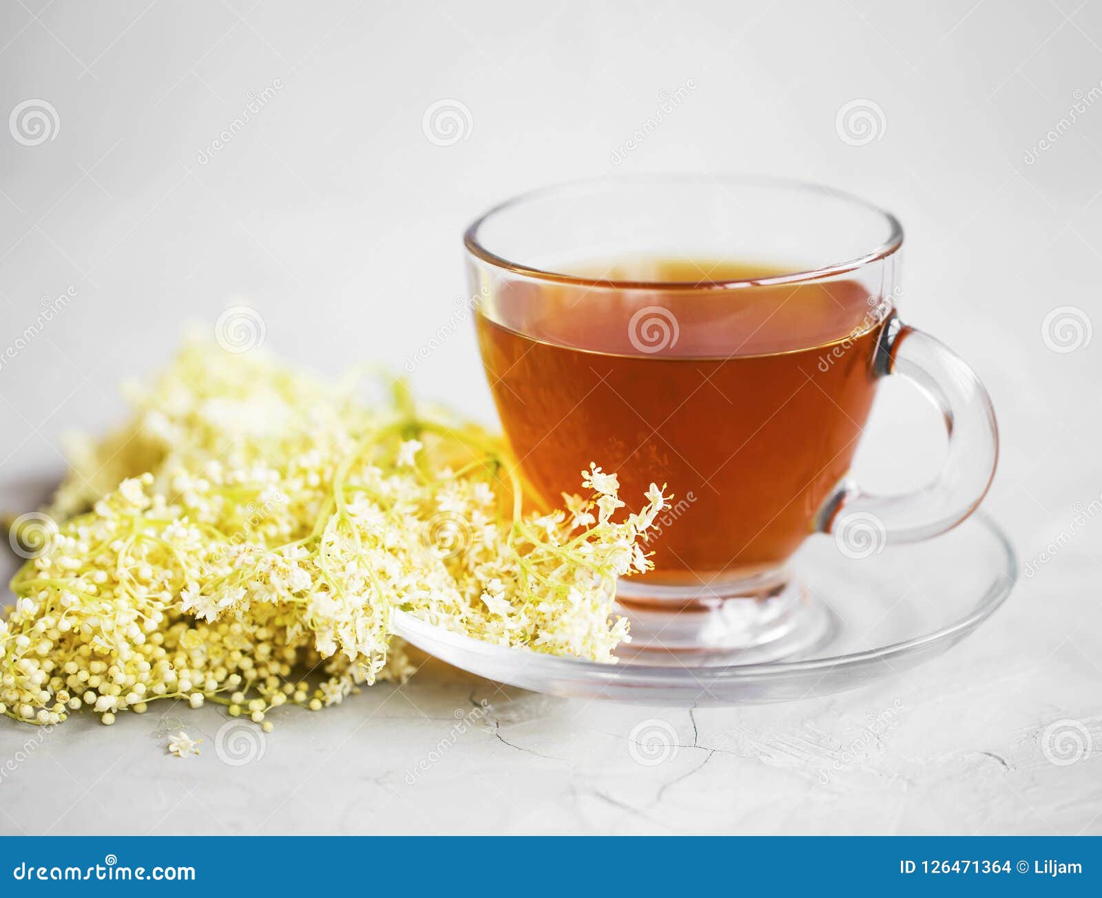 Elderflower tea stock photo. Image of herbs, green, nigra - 126471364