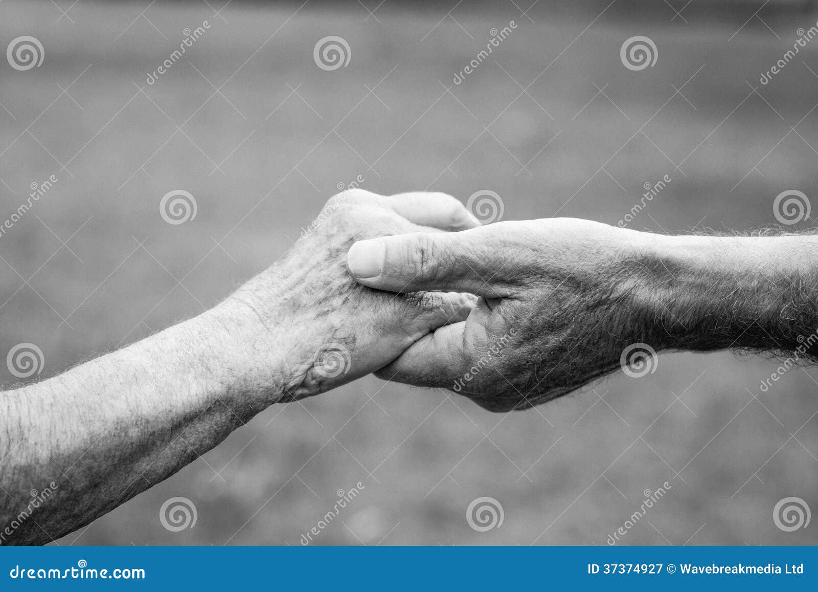 Elderly Couple Holding Hands Stock Image - Image of concept ...