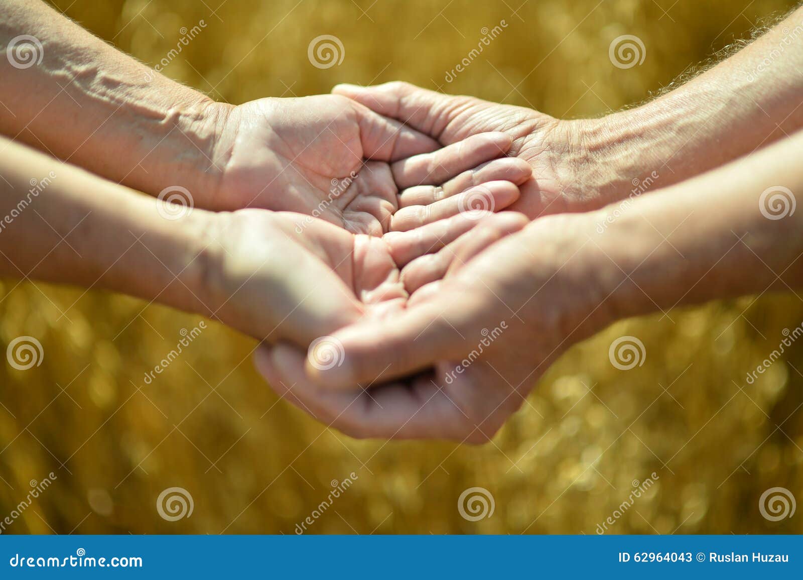 Elderly Couple Holding Hands Stock Image - Image of lady, hands: 62964043