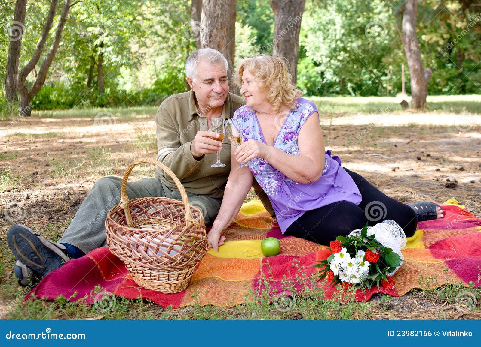Elderly couple picnicking stock photo. Image of goblet - 23982166