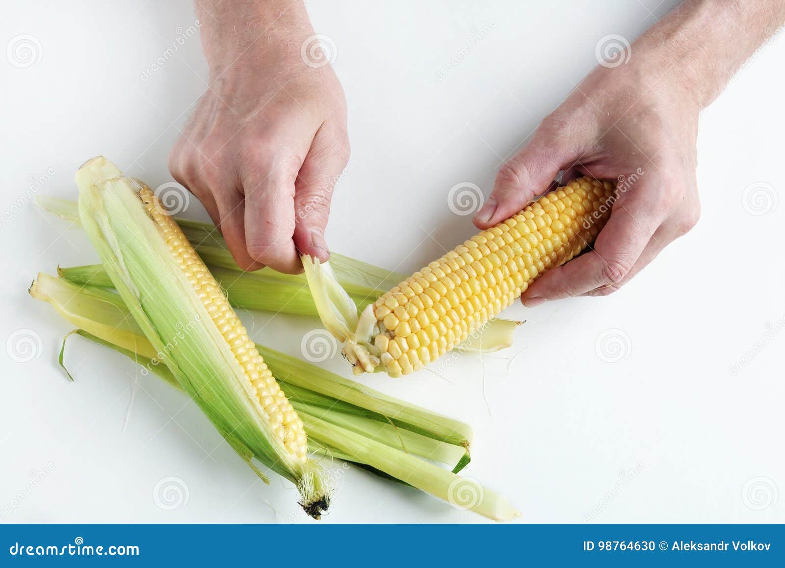 The Farmer is Cleaning the Corn Cobs Stock Photo - Image of finger ...