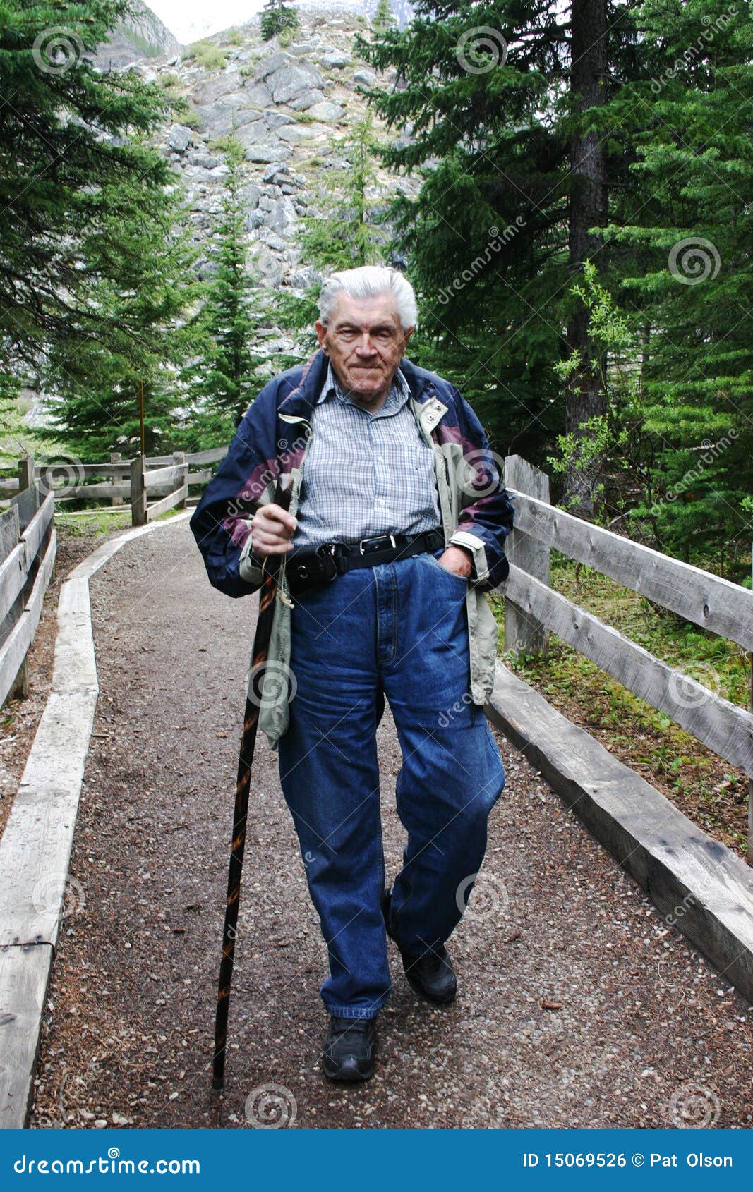 Elderly Gentleman walking stock photo. Image of caucasian - 15069526