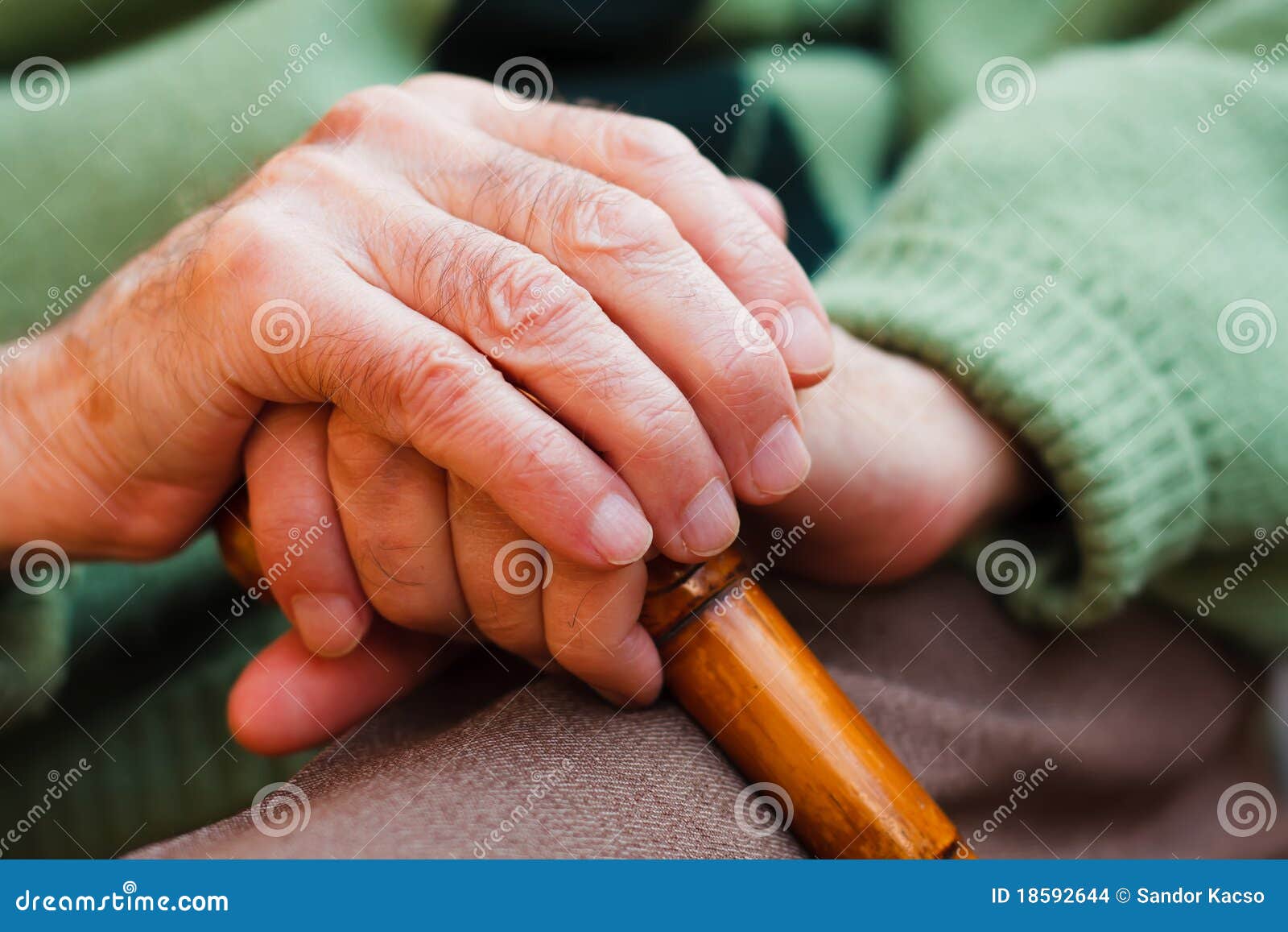 Elderly hands stock photo. Image of senior, wood, hands - 18592644