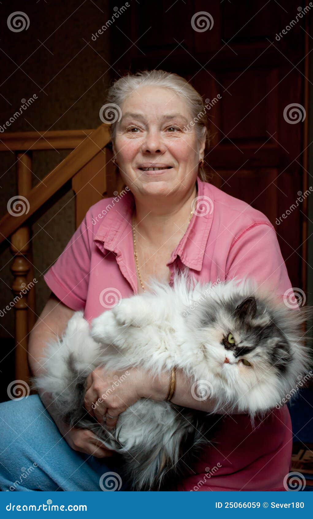 The Elderly Lady with a Cat Stock Image - Image of person, happy: 25066059