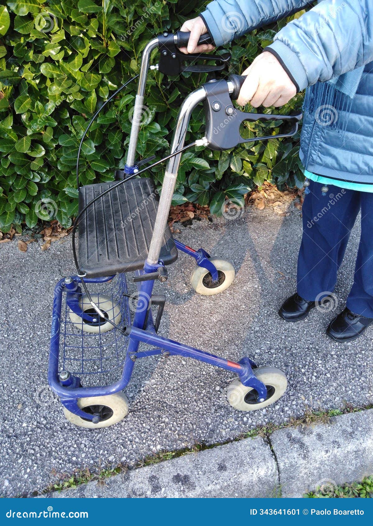 Elderly Lady Using Walker To Get Around Stock Image - Image of senior ...