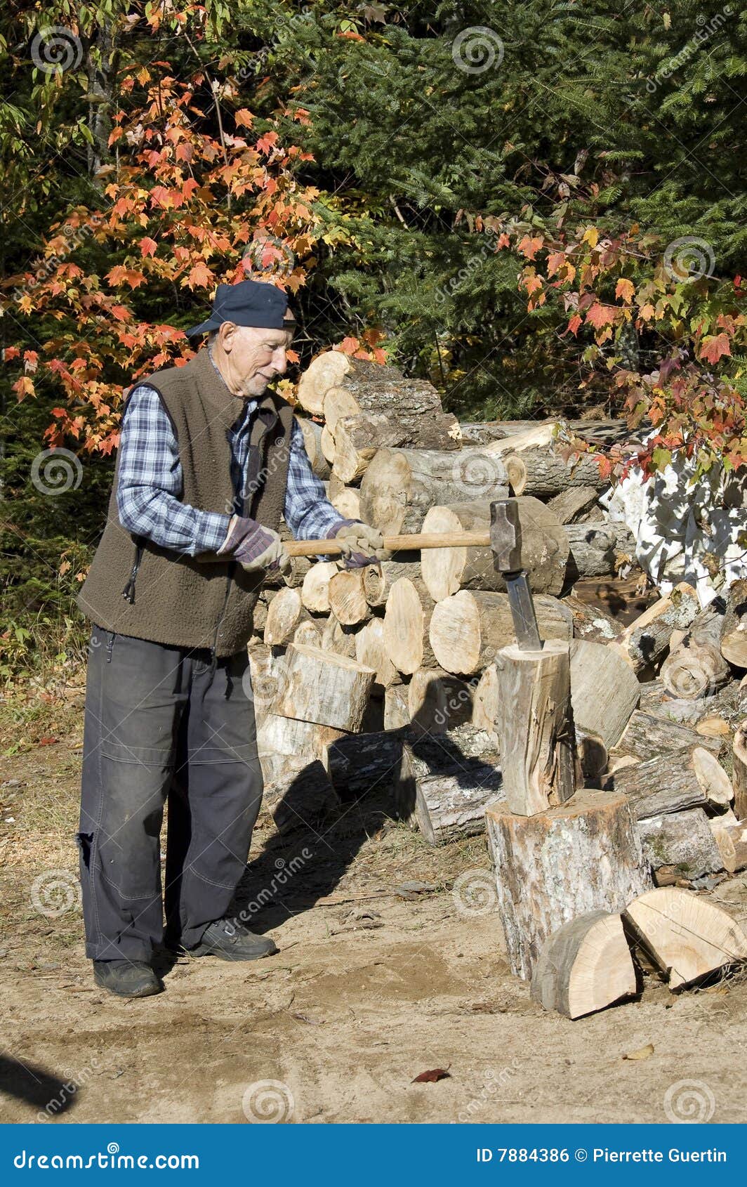 Elderly Lumberjack in Action Stock Photo - Image of action, expressive ...