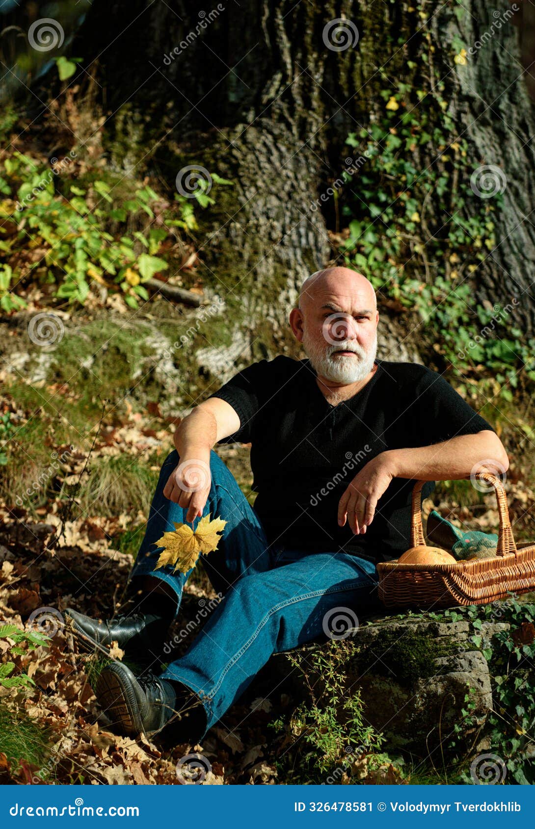 Elderly Man in Autumn Park with Fall Foliage. Stock Image - Image of ...