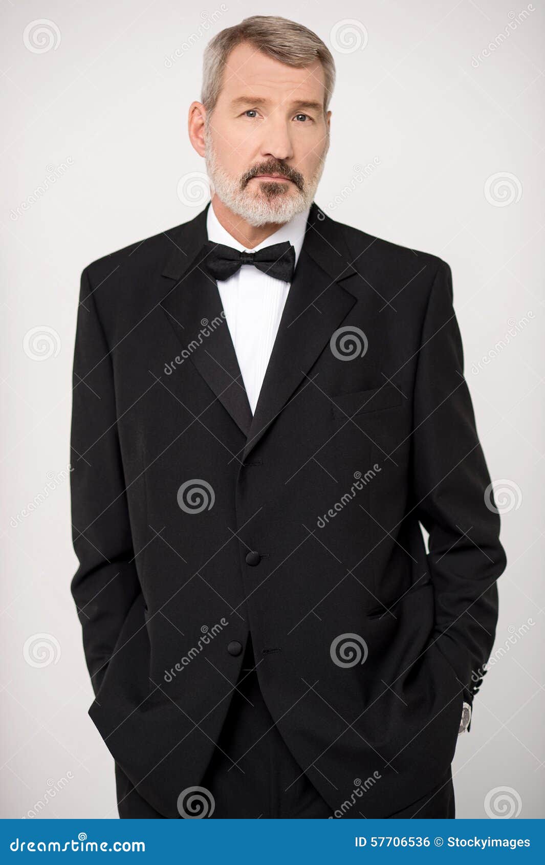 Elderly Man in Elegant Dark Formal Stock Photo - Image of boss, aged ...