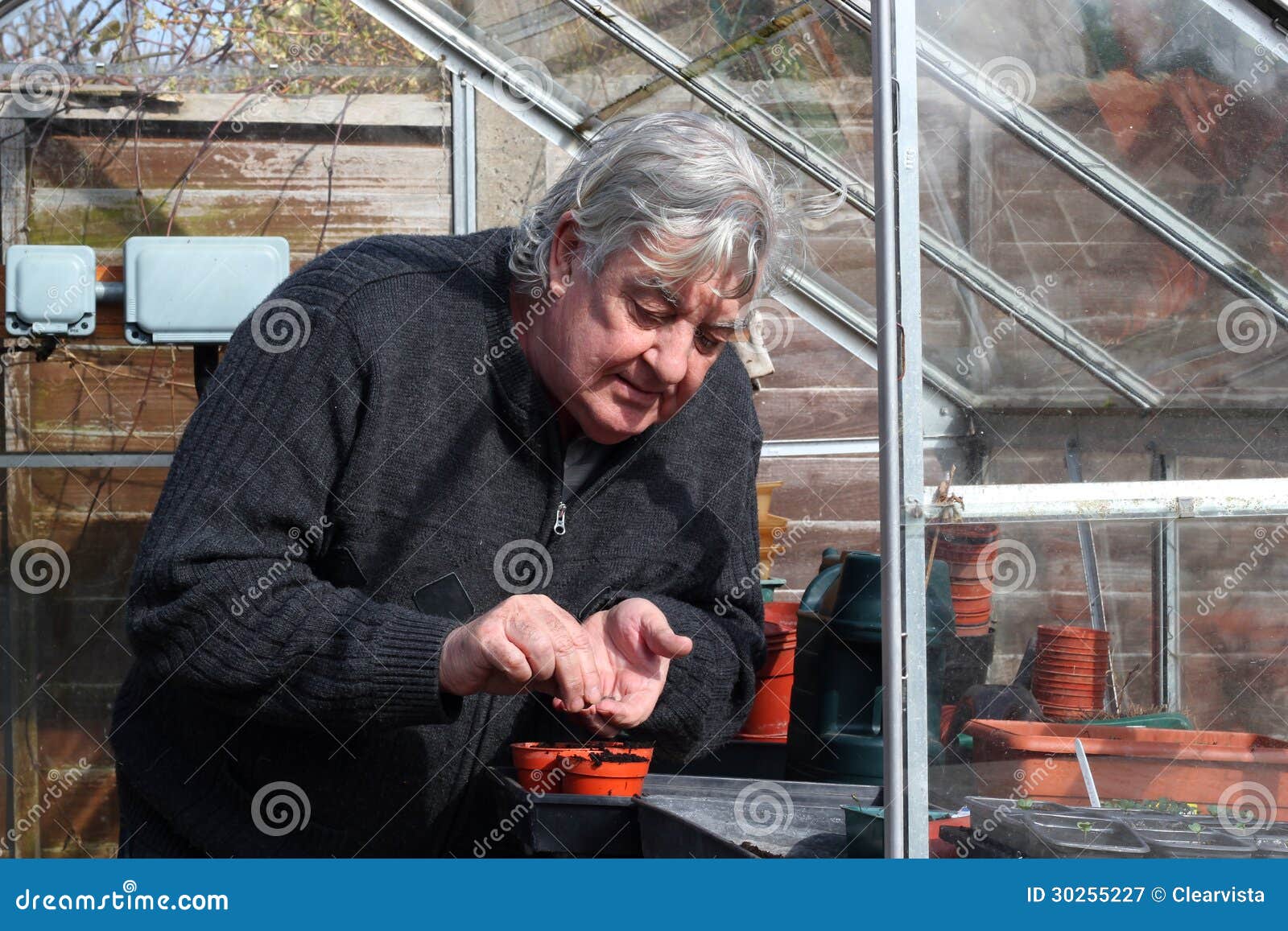 Sowing Seeds in a Greenhouse. Stock Image - Image of male, plants: 30255227